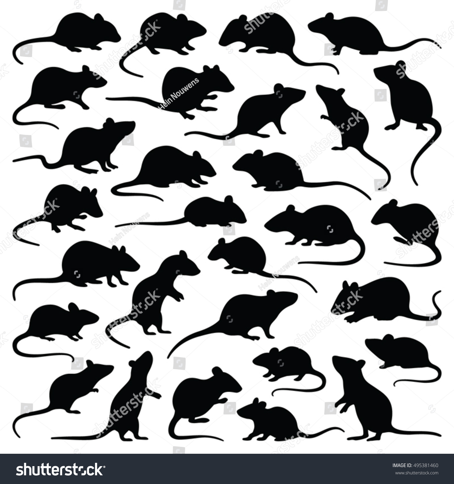 65,514 Mice collection Images, Stock Photos & Vectors | Shutterstock