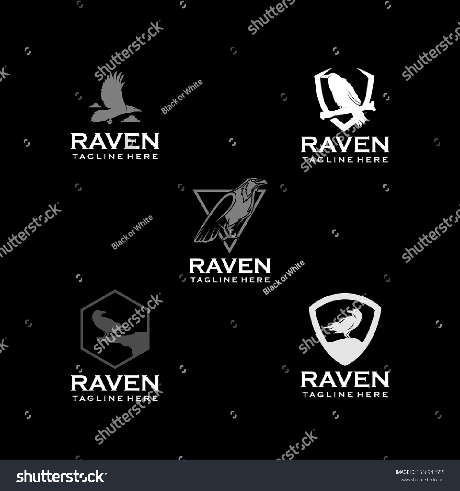 Raven Logo Design Vector Template Stock Vector (Royalty Free) 1556942555