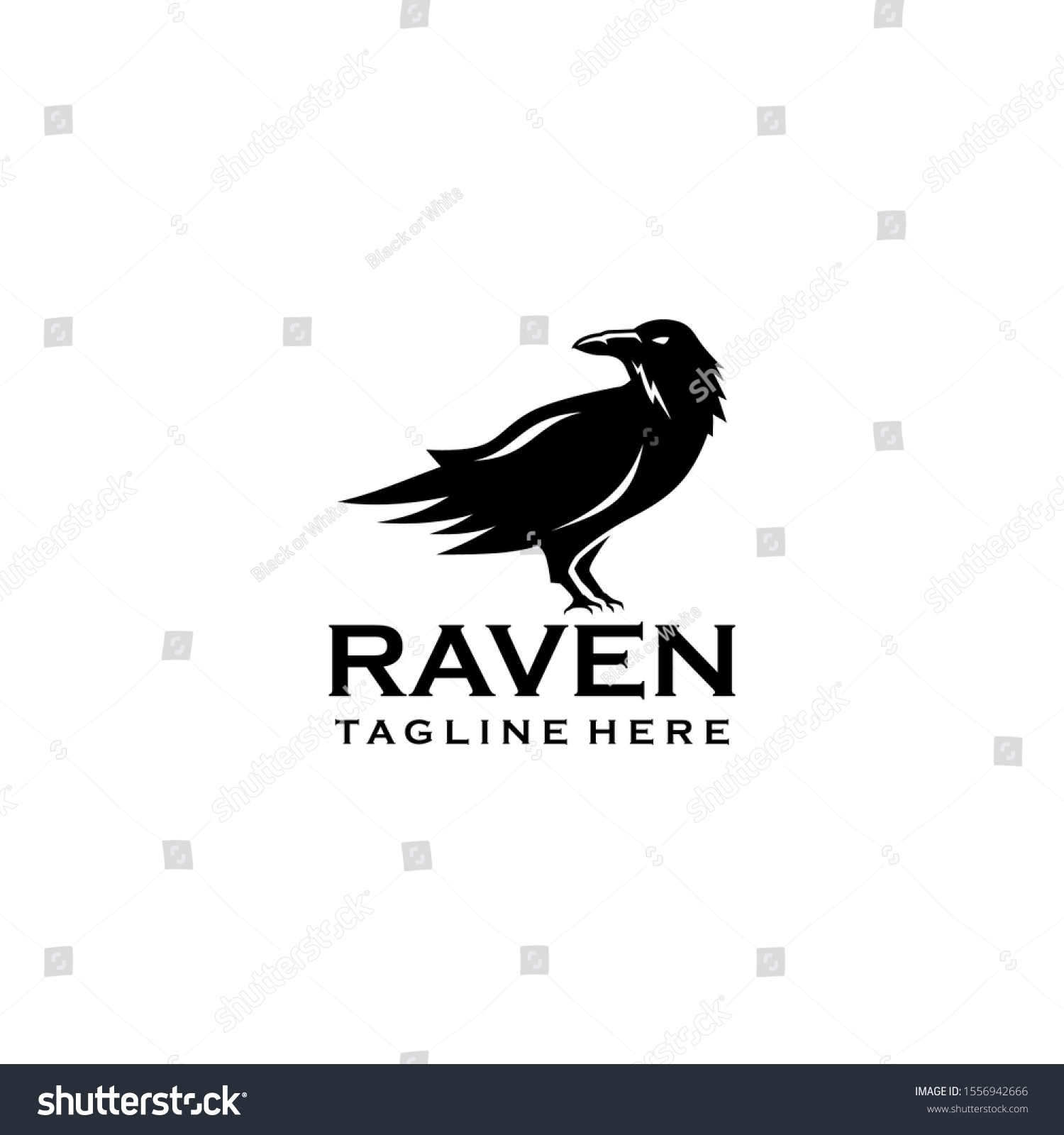 Raven Logo Design Vector Template Stock Vector (Royalty Free) 1556942666