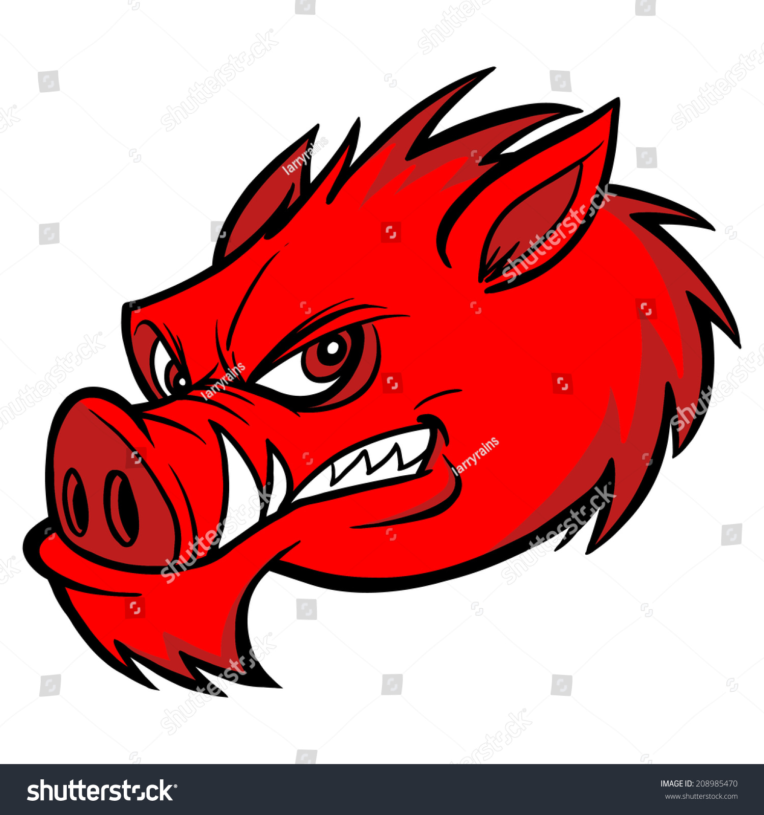 Razorback Images, Stock Photos & Vectors | Shutterstock