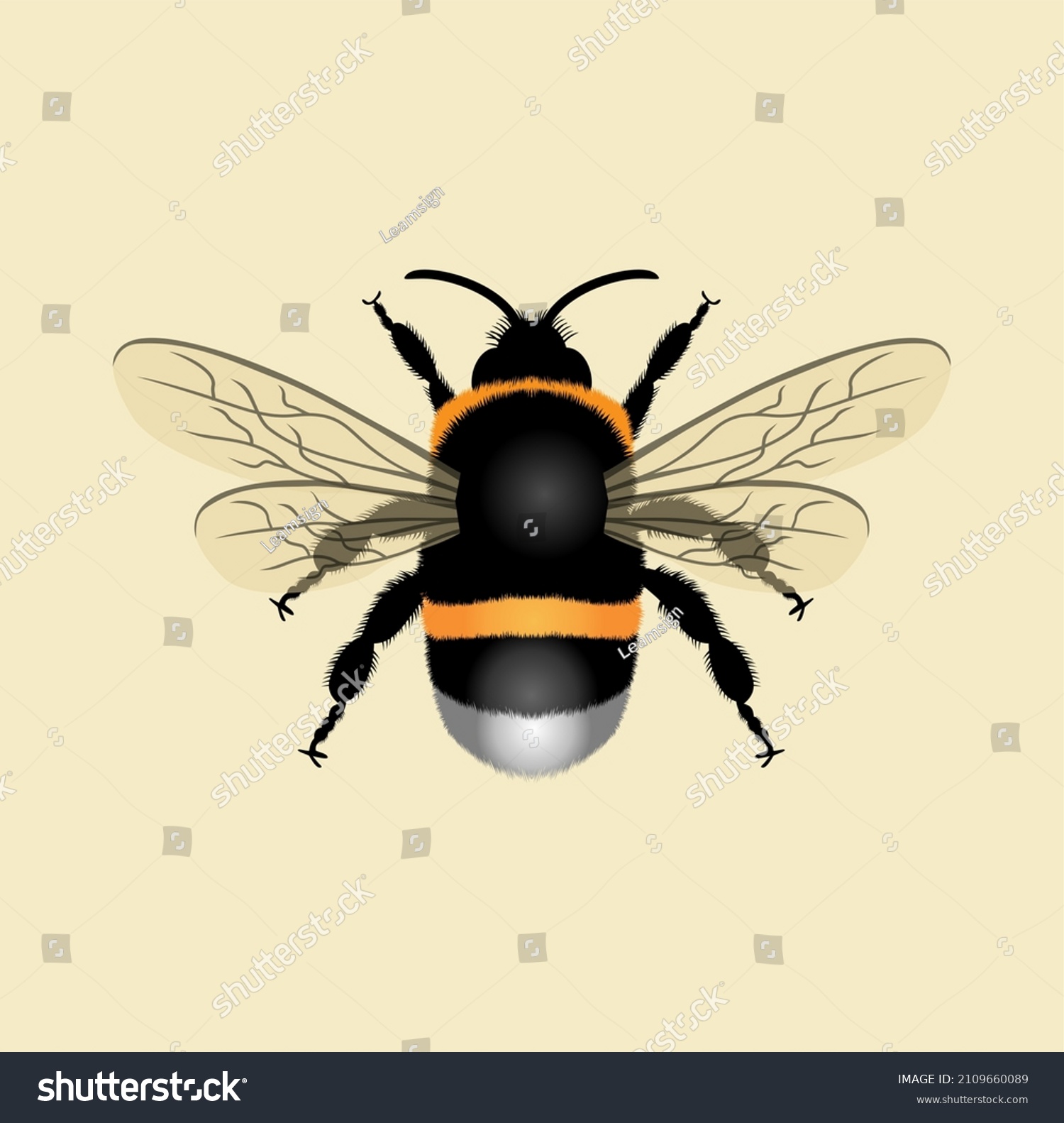 Realistic Bumblebee Design Illustration Vector Eps Stock Vector ...