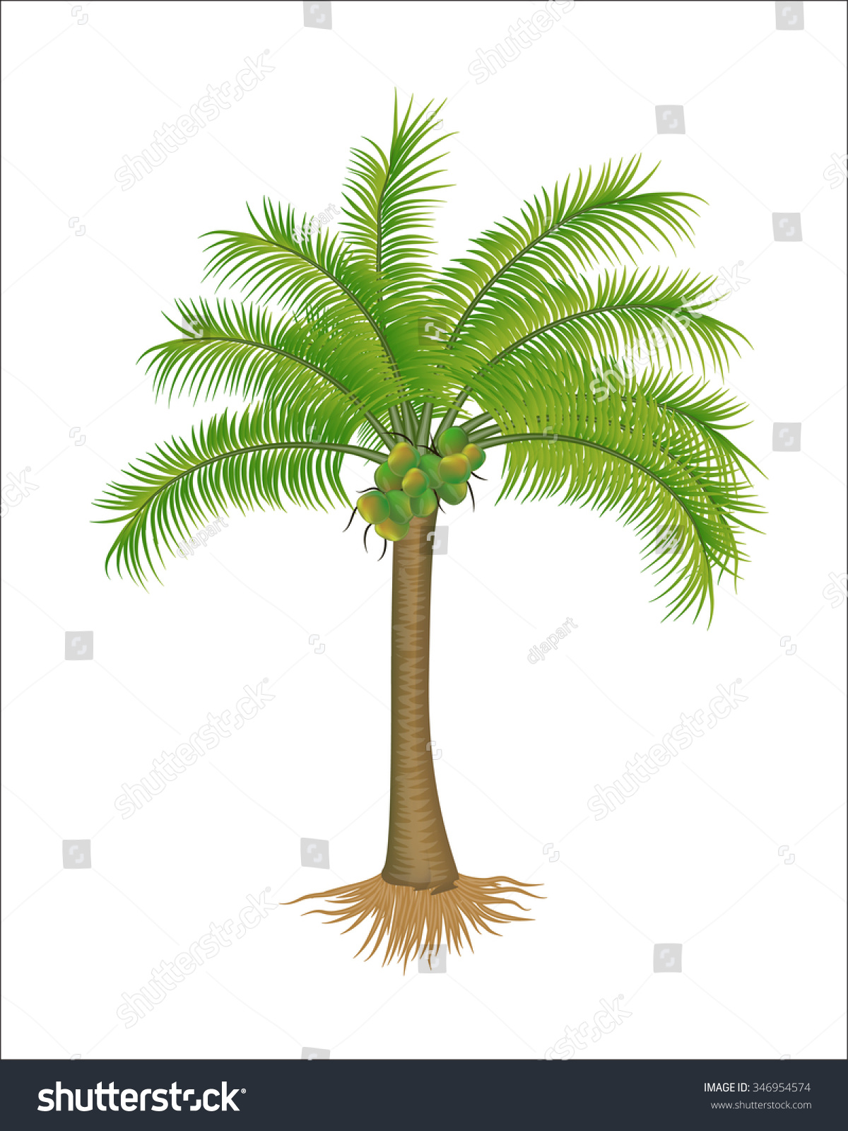 Realistic Coconut Tree Vector Illustration Isolated: เวกเตอร์สต็อก ...