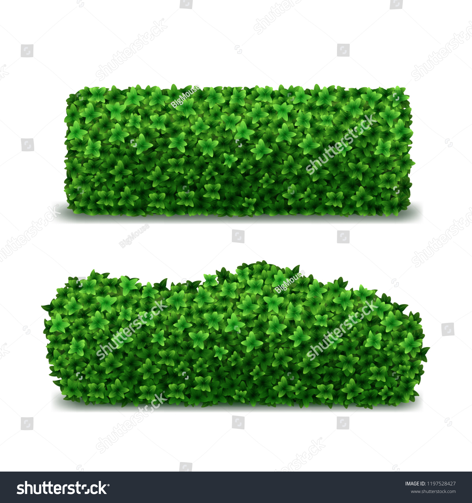 Realistic Detailed 3d Green Hedges Set Stock Vector (Royalty Free ... Realistic Detailed 3d Green Hedges Set Stock Vector (Royalty Free ...
