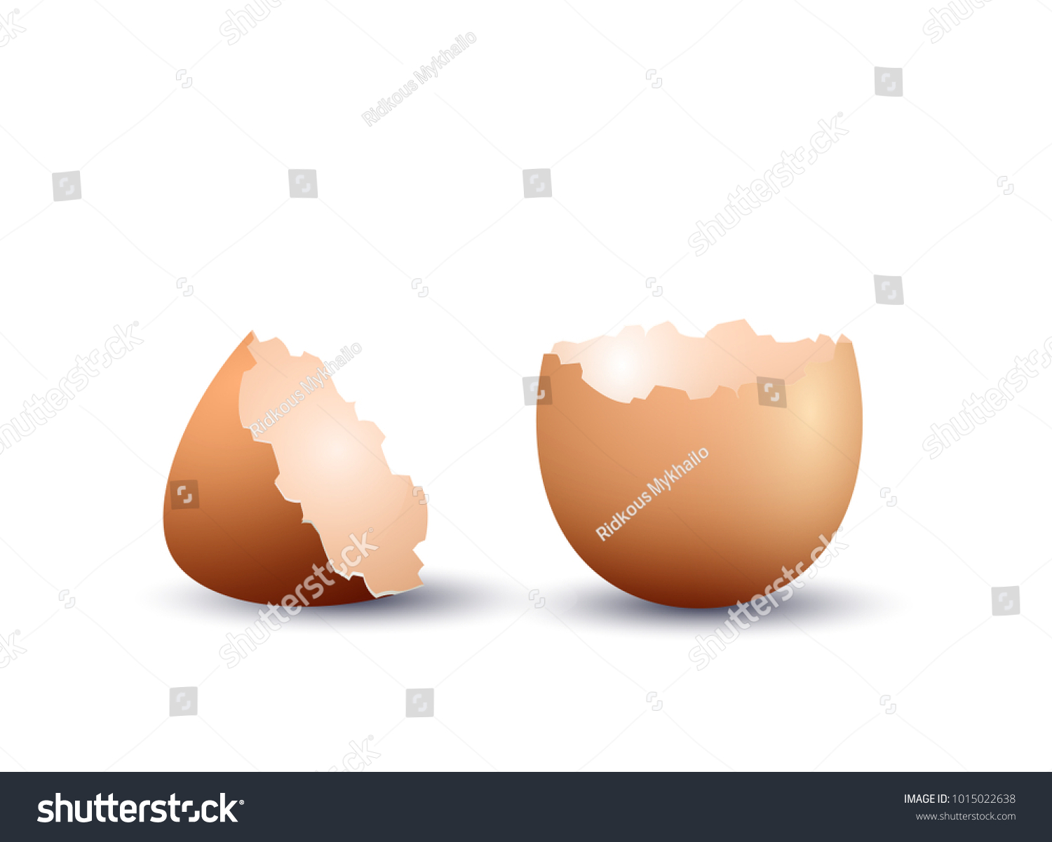 Realistic Egg Shell Isolated On White Stock Vector (Royalty Free ...