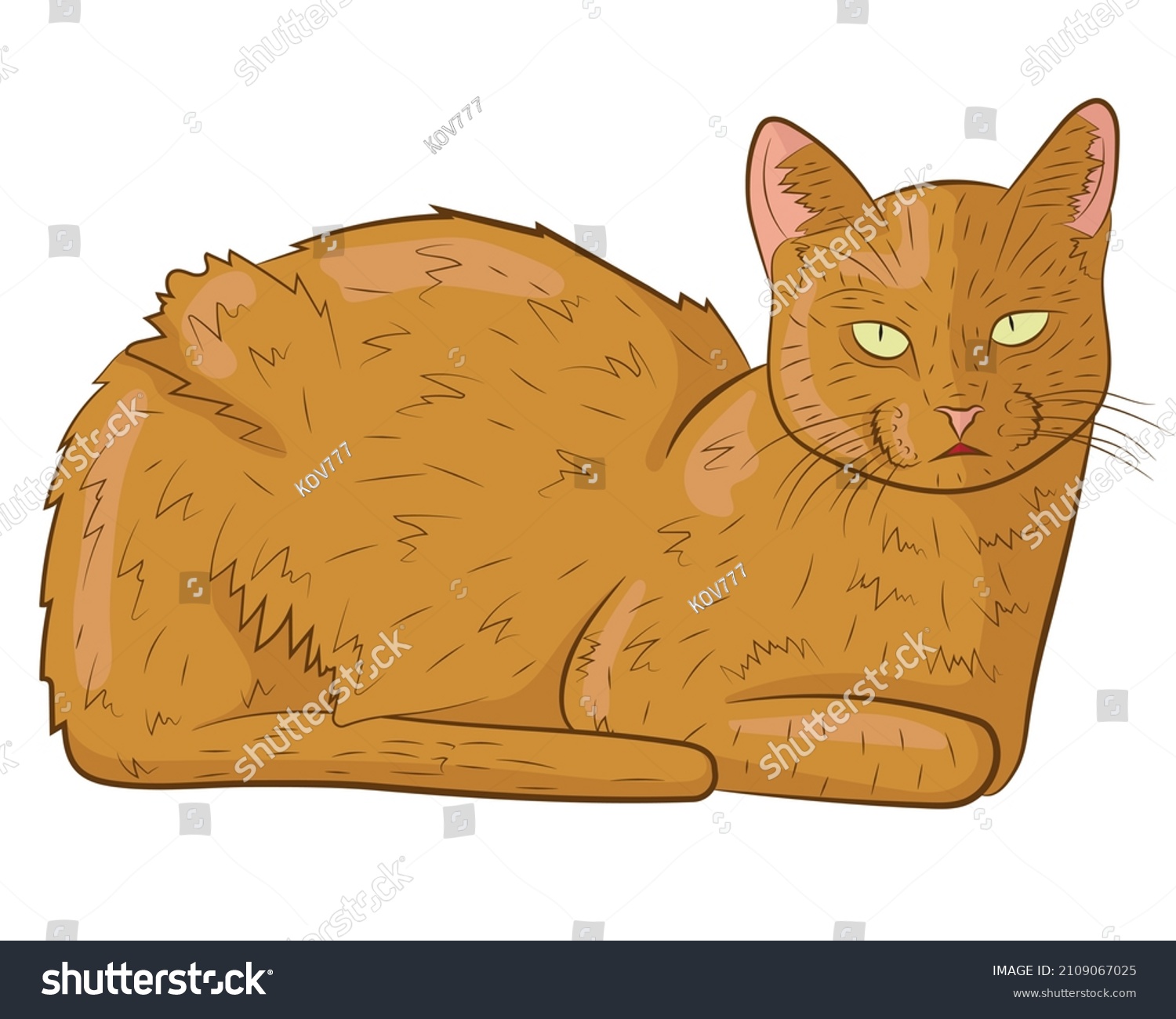 Realistic Ginger Cat Vector Illustration Stock Vector (Royalty Free ...