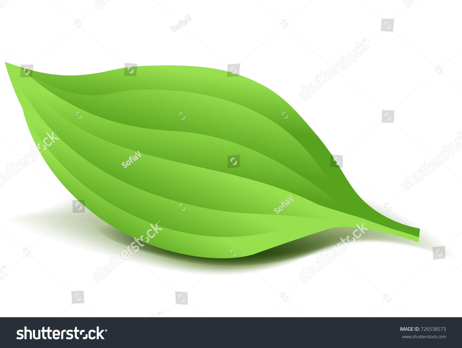Realistic Green Leaf Vector Illustration Isolated Stock Vector (Royalty ...