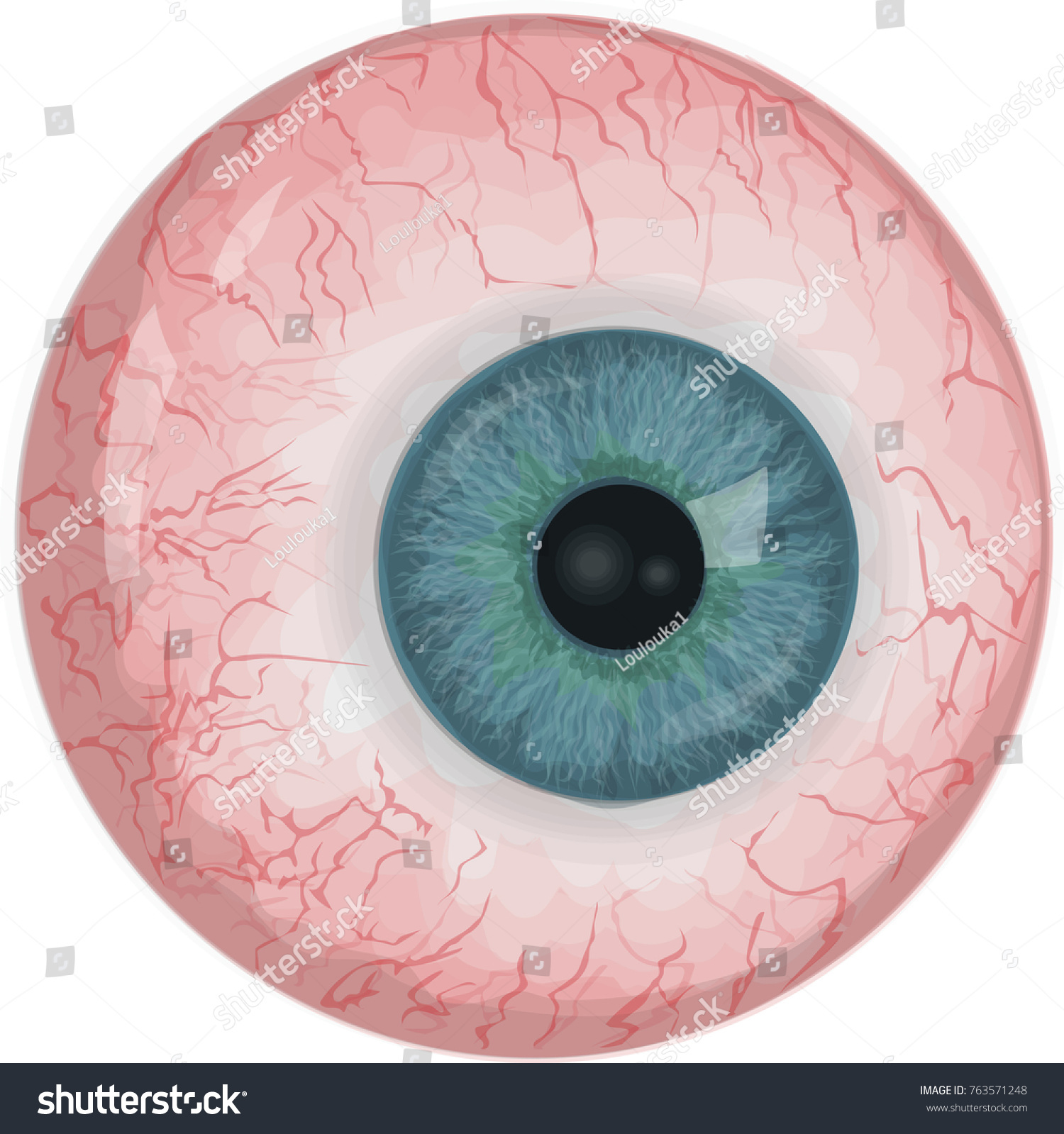Realistic Human Eyeball Blue Vector Eye: เวกเตอร์สต็อก (ปลอดค่า ...