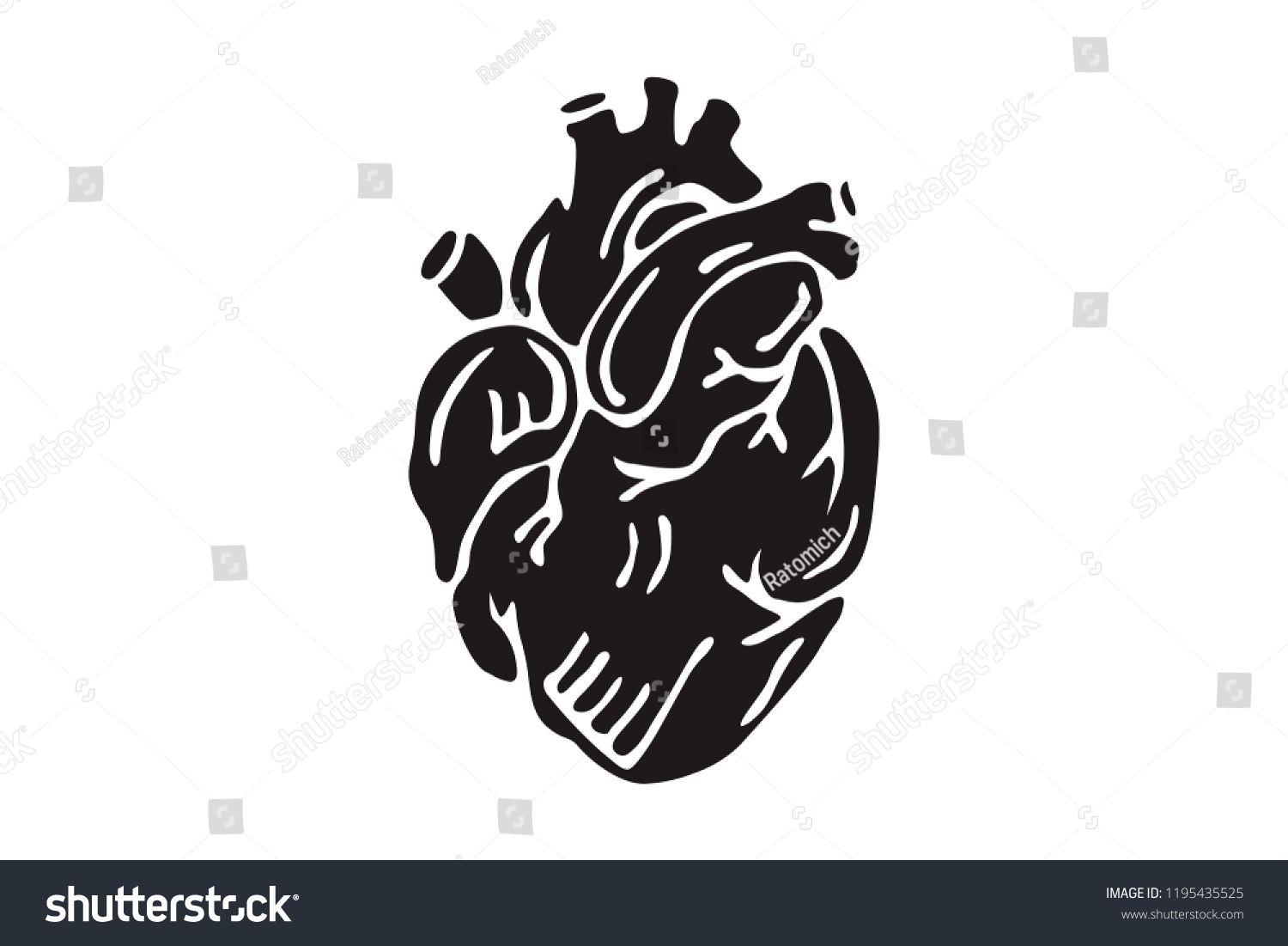 Realistic Human Heart Stock Vector (Royalty Free) 1195435525 | Shutterstock