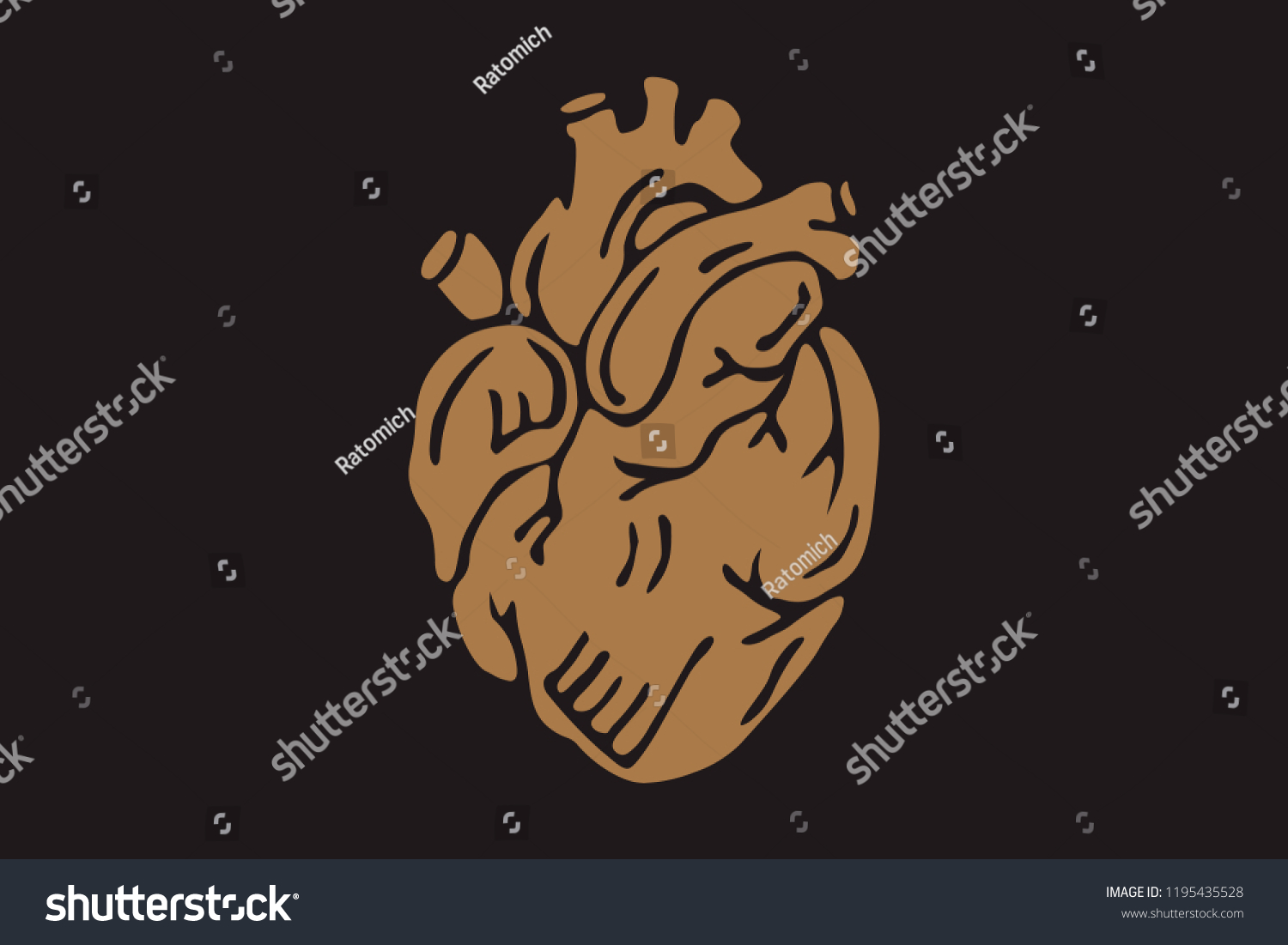 Realistic Human Heart Stock Vector (Royalty Free) 1195435528 | Shutterstock