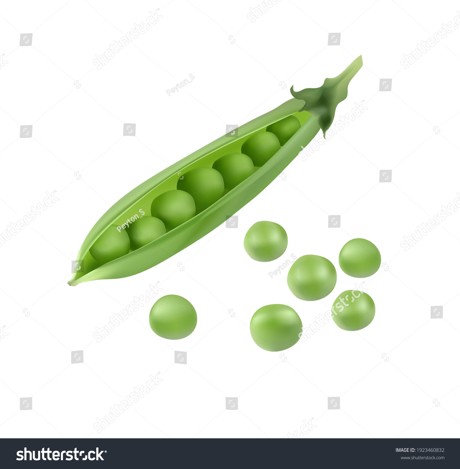 61,401 Pea 스톡 벡터, 이미지 및 벡터 아트 | Shutterstock