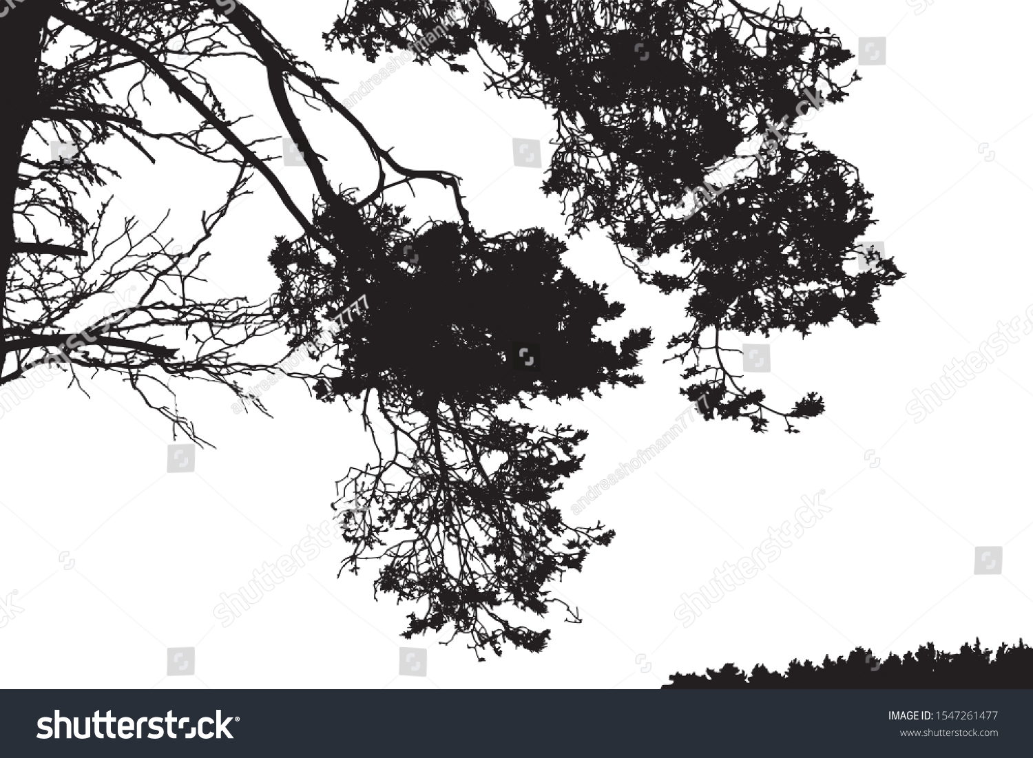 Realistic Pine Tree Silhouette Vector Illustration Stok Vektör ...