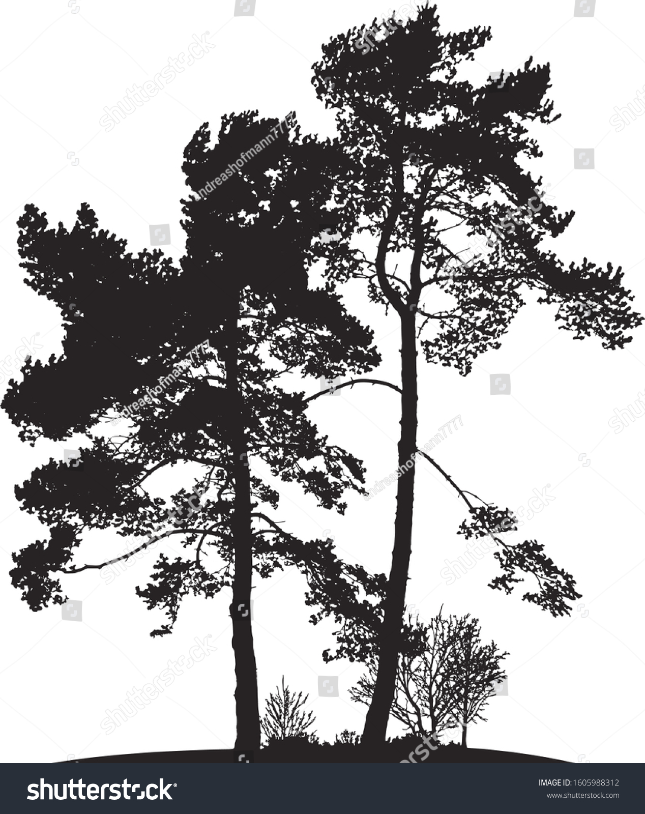 Realistic Pine Tree Silhouette Vector Illustration: vetor stock (livre ...