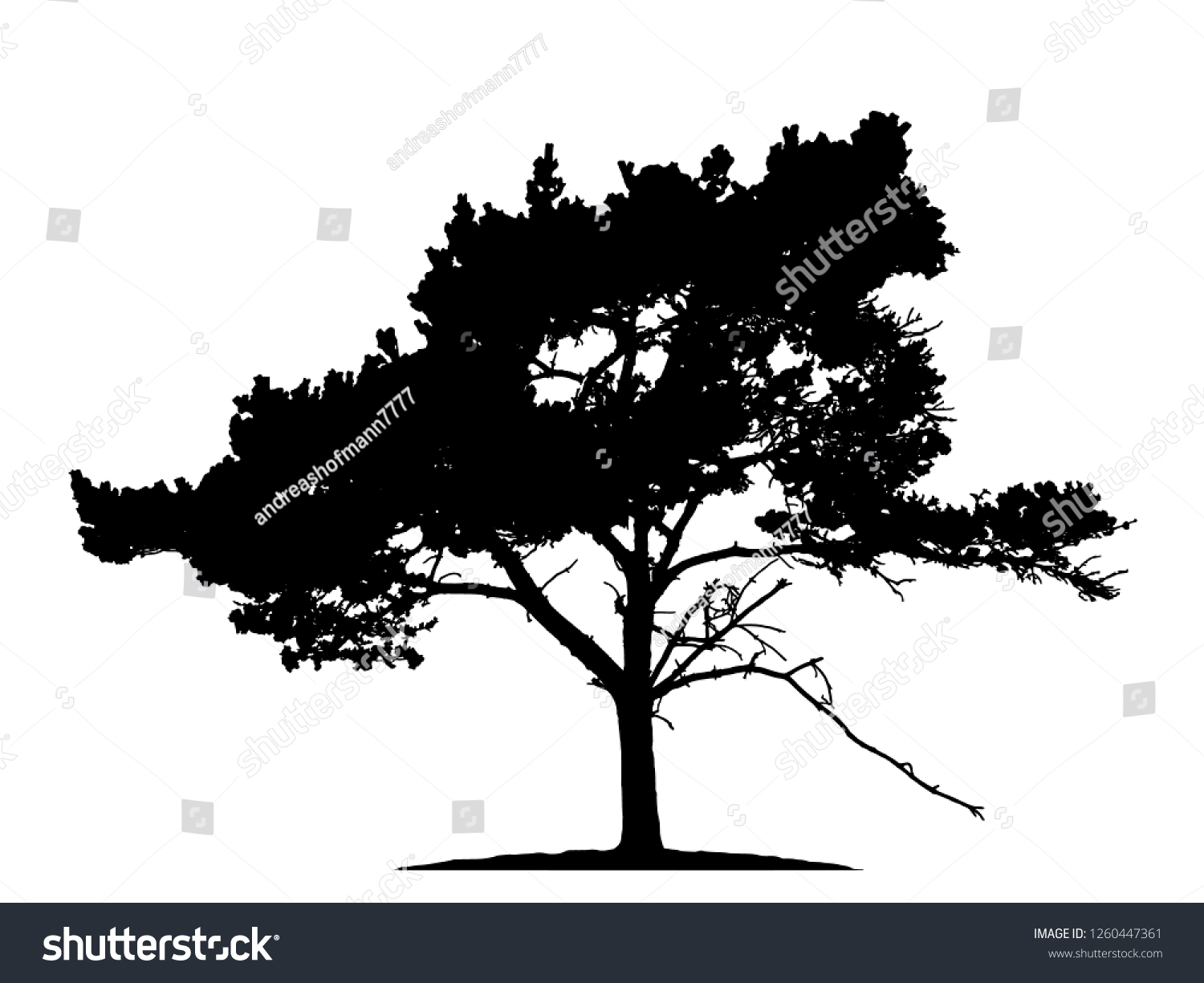 Realistic Pine Tree Silhouette Vector Illustration Stock Vector ...