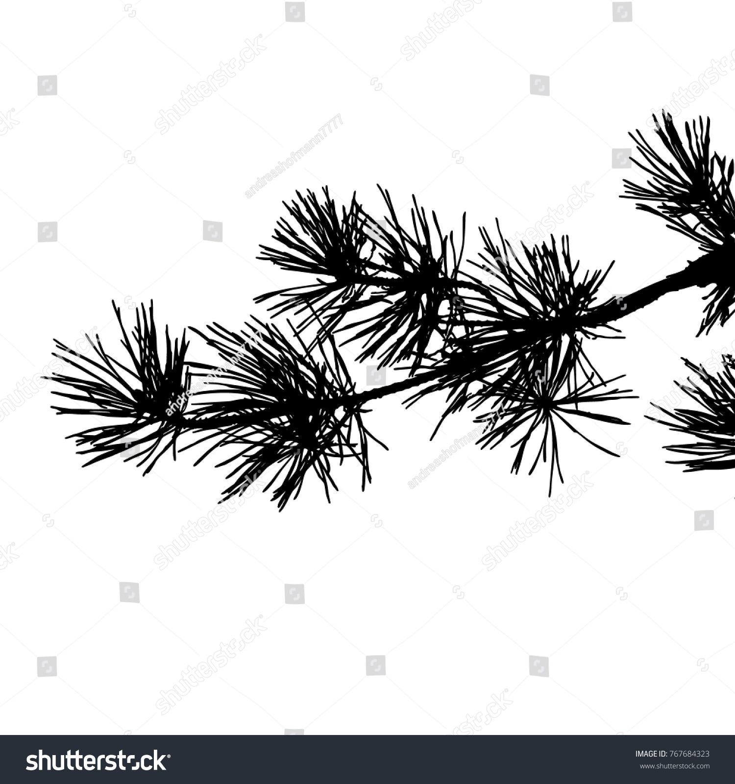 Realistic Pine Tree Silhouette Vector Illustrationeps10: vector de ...