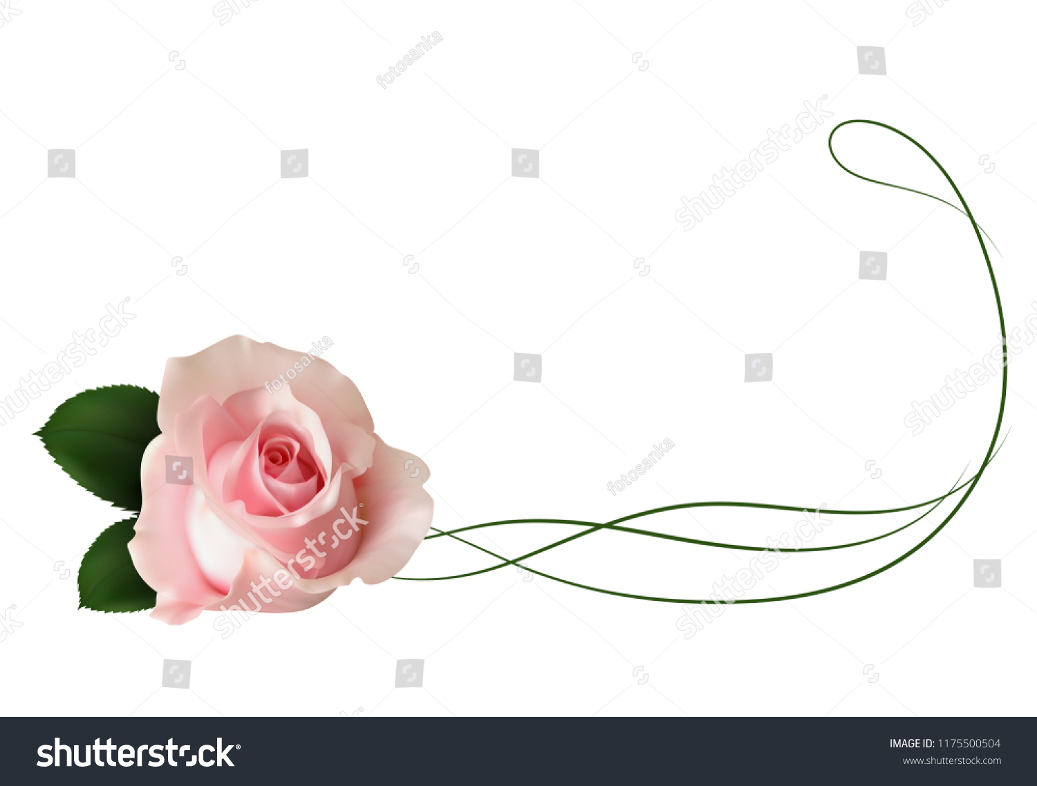 Realistic Pink Rose Border: vector de stock (libre de regalías ...