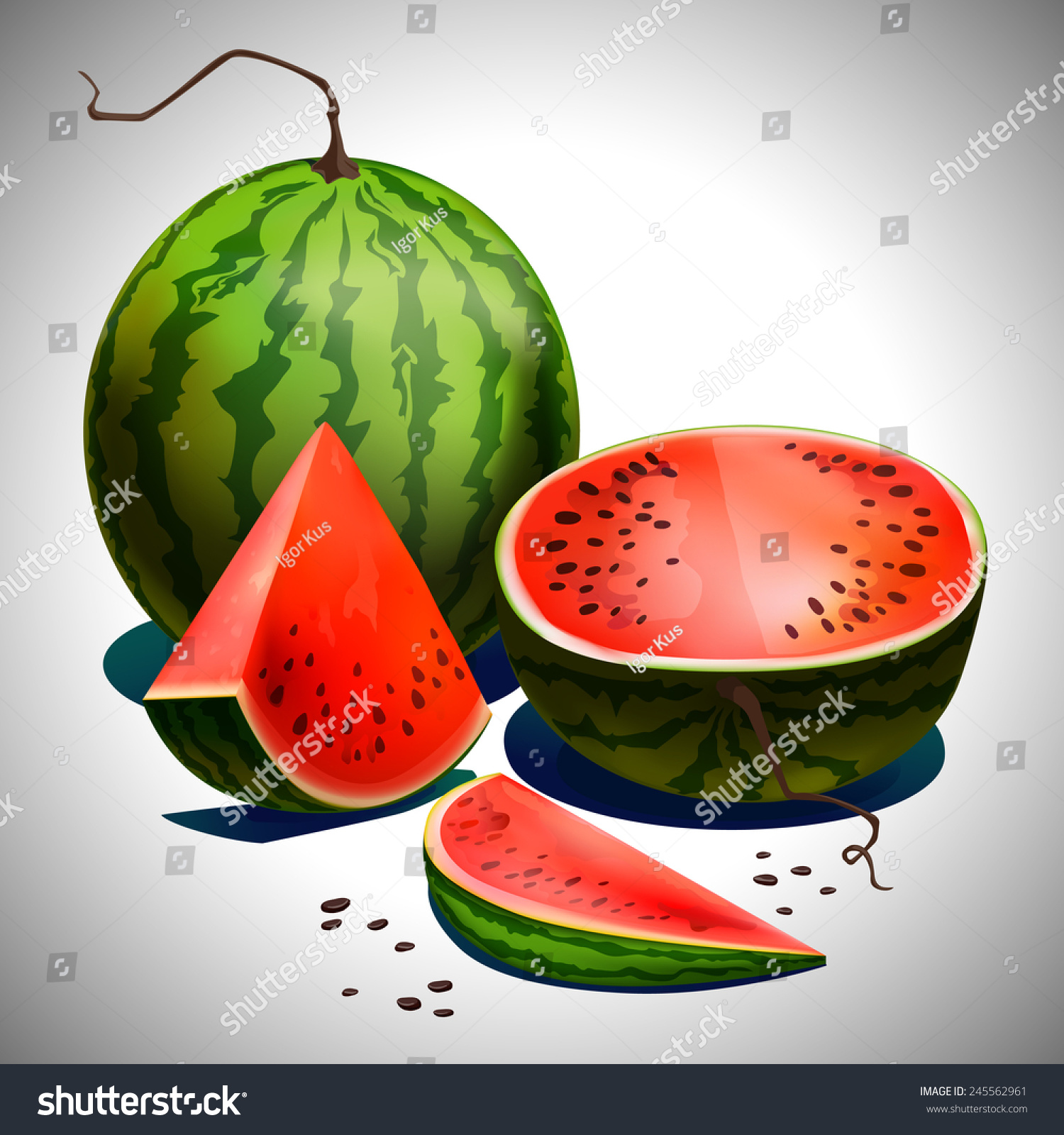 Realistic Sliced Watermelon Watermelon Slice Vector: เวกเตอร์สต็อก ...