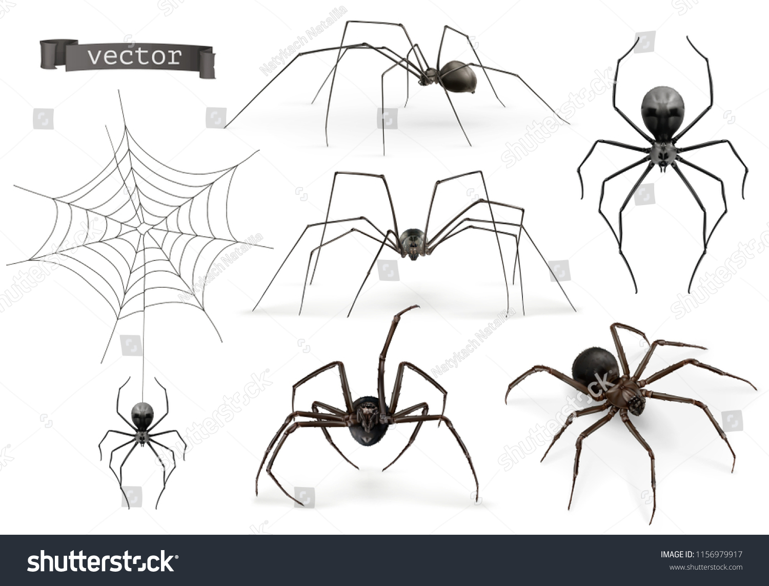 10,461 3d spider Images, Stock Photos & Vectors | Shutterstock