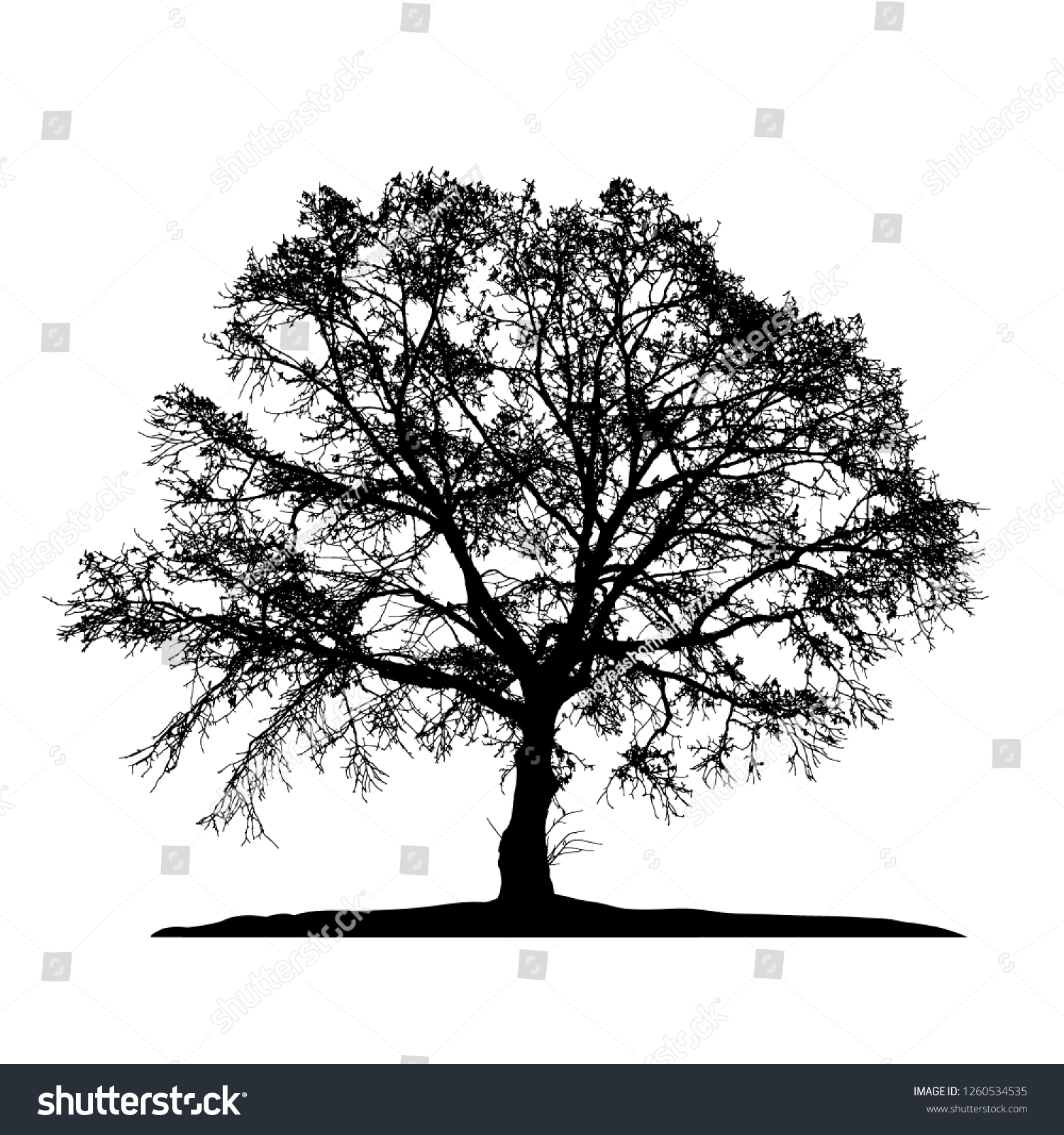 Vektor Stok Realistic Tree Silhouette Vector Illustrationeps10 (Tanpa ...