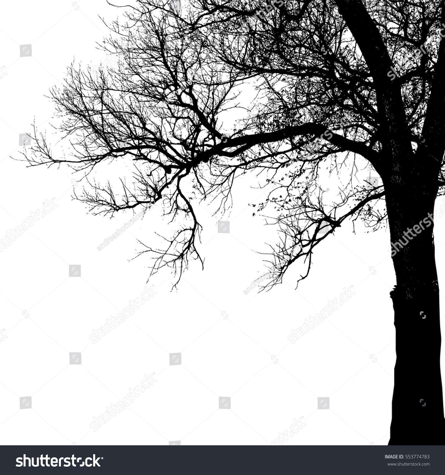 Realistic Tree Silhouette Vector Illustrationeps10 Stock Vector ...