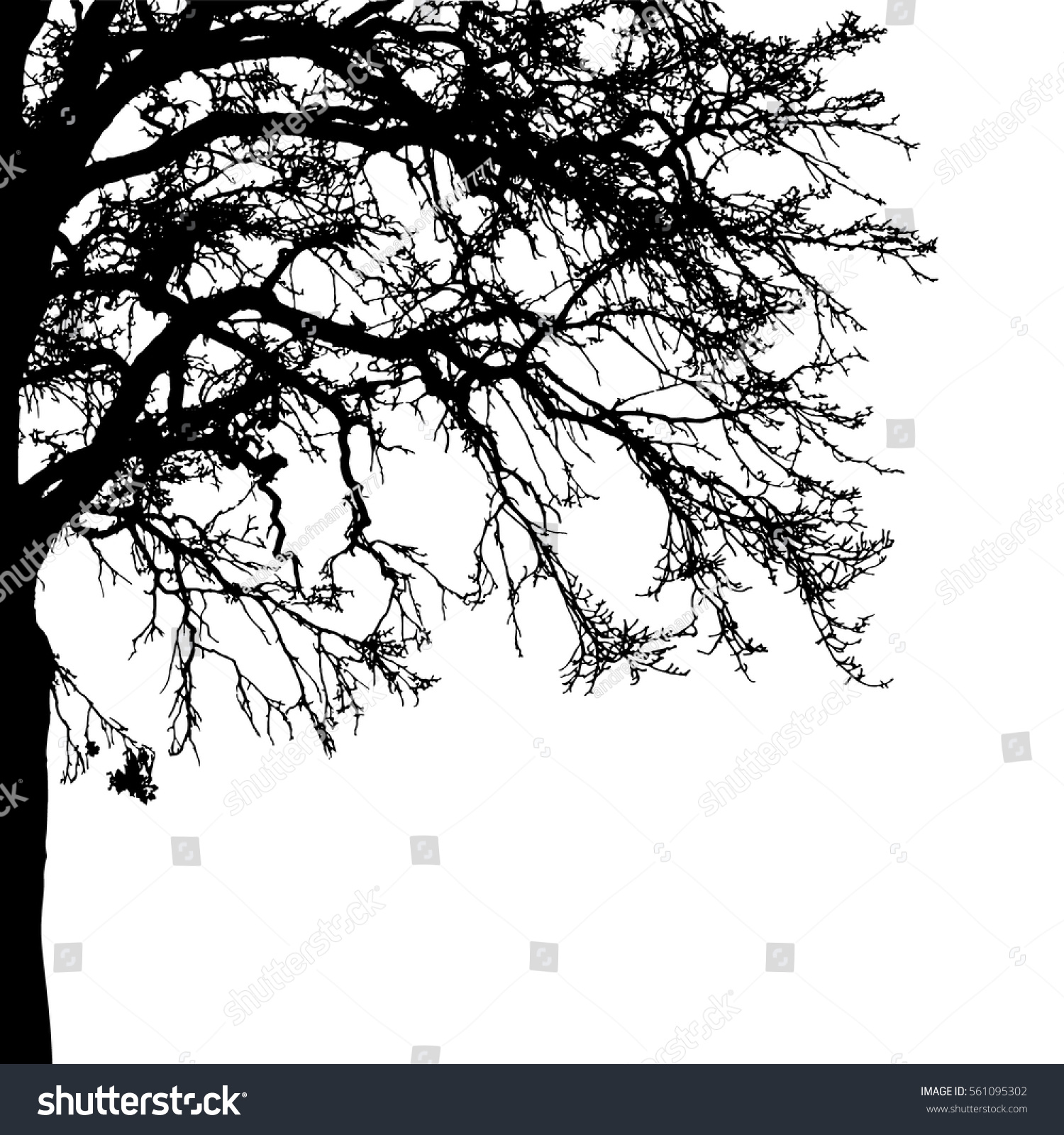 Realistic Tree Silhouette Vector Illustrationeps10 Stock Vector ...
