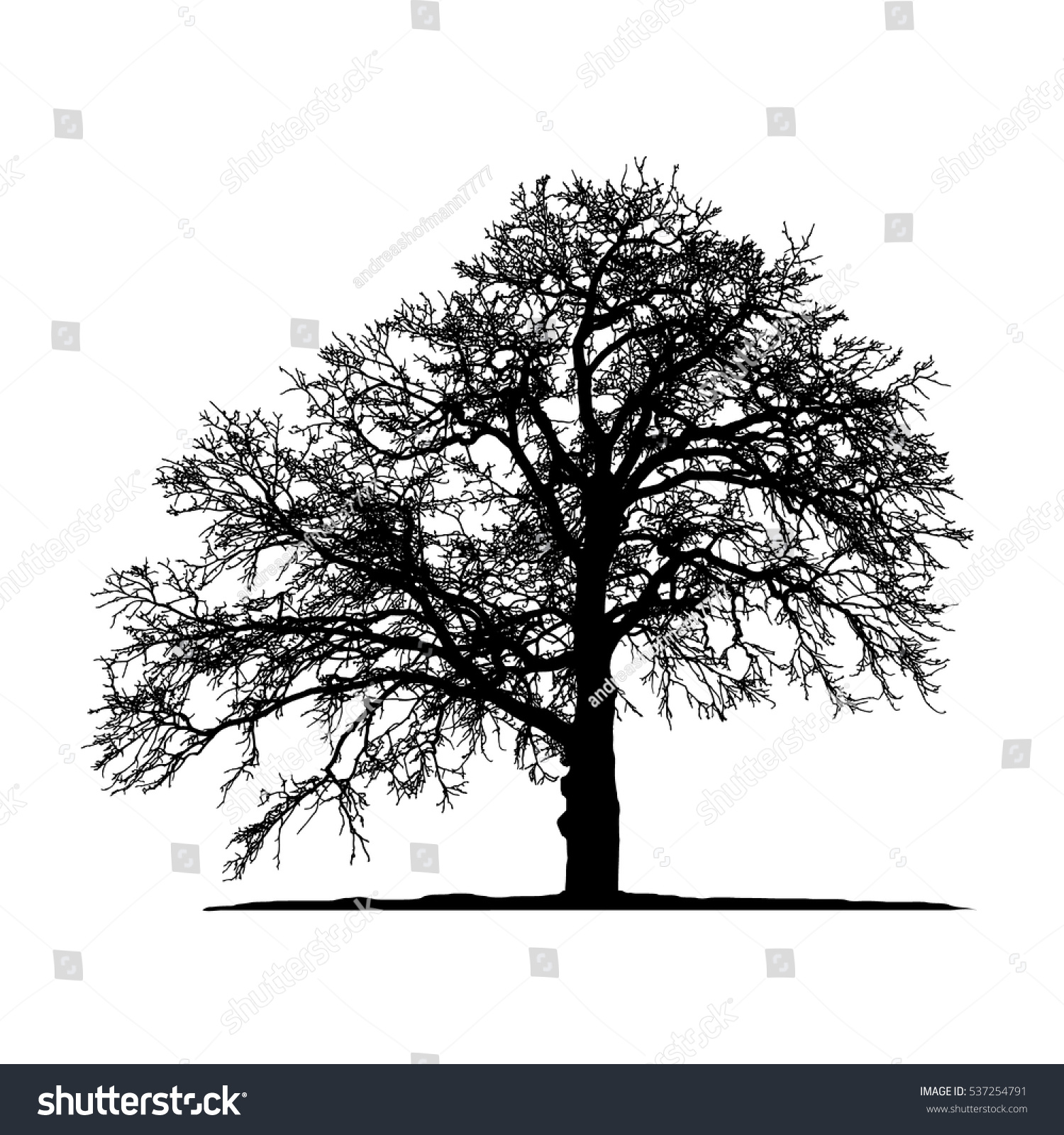 Realistic Trees Silhouette Vector Illustrationeps10 Stock Vector ...