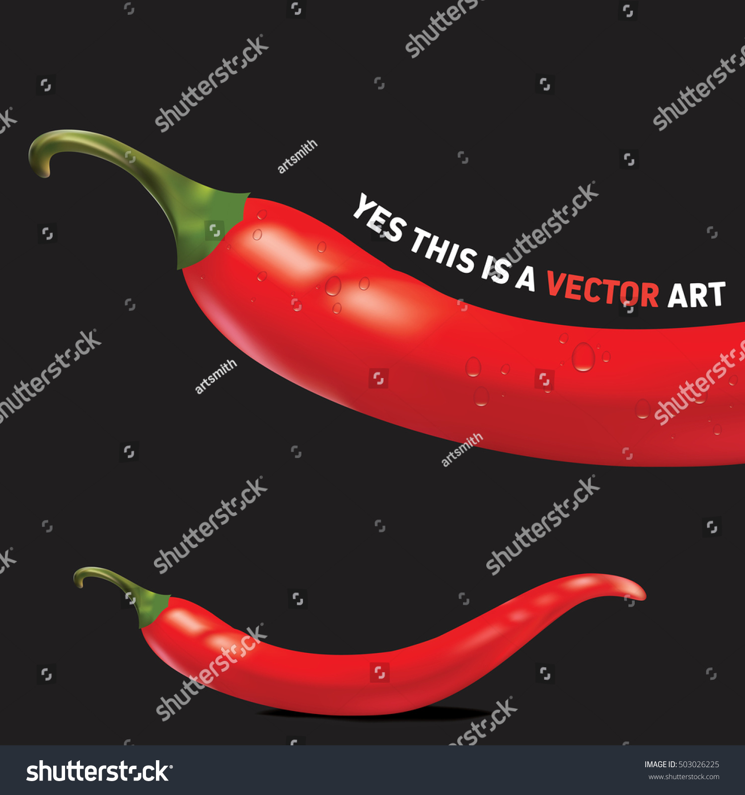 Realistic Vector Chilli Stock Vector (Royalty Free) 503026225 ...