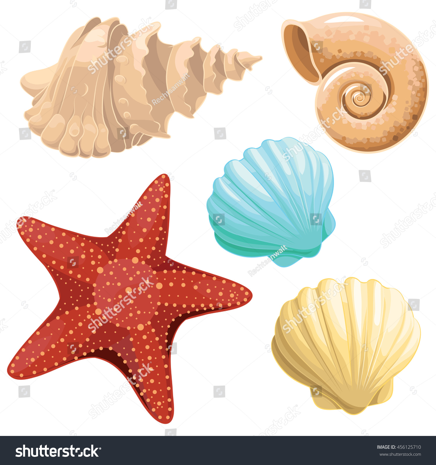 Realistic Vector Starfish Seashell Stock Vector (Royalty Free ...