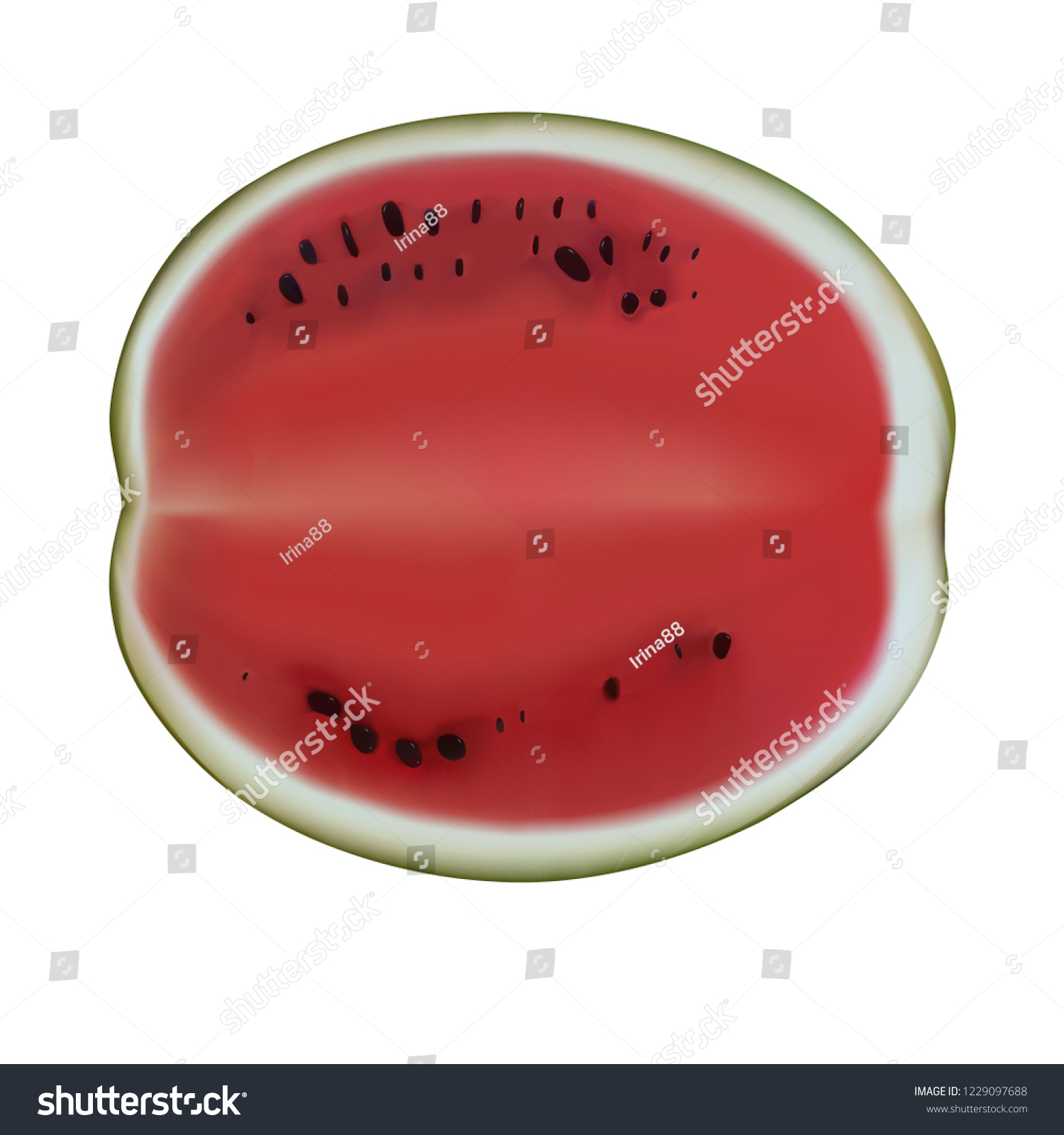 Realistic Watermelon Vector Illustration Stock Vector (Royalty Free ...