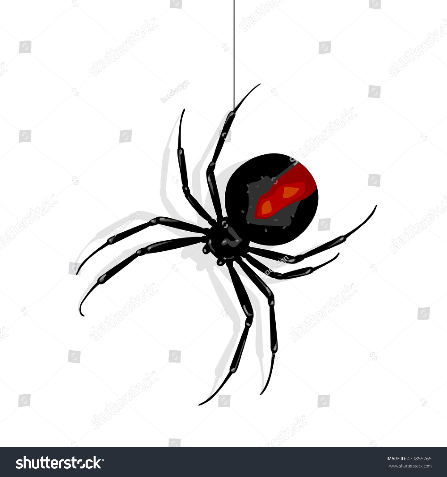 2.413 Spider red back Görseli, Stok Fotoğraflar ve Vektörler | Shutterstock
