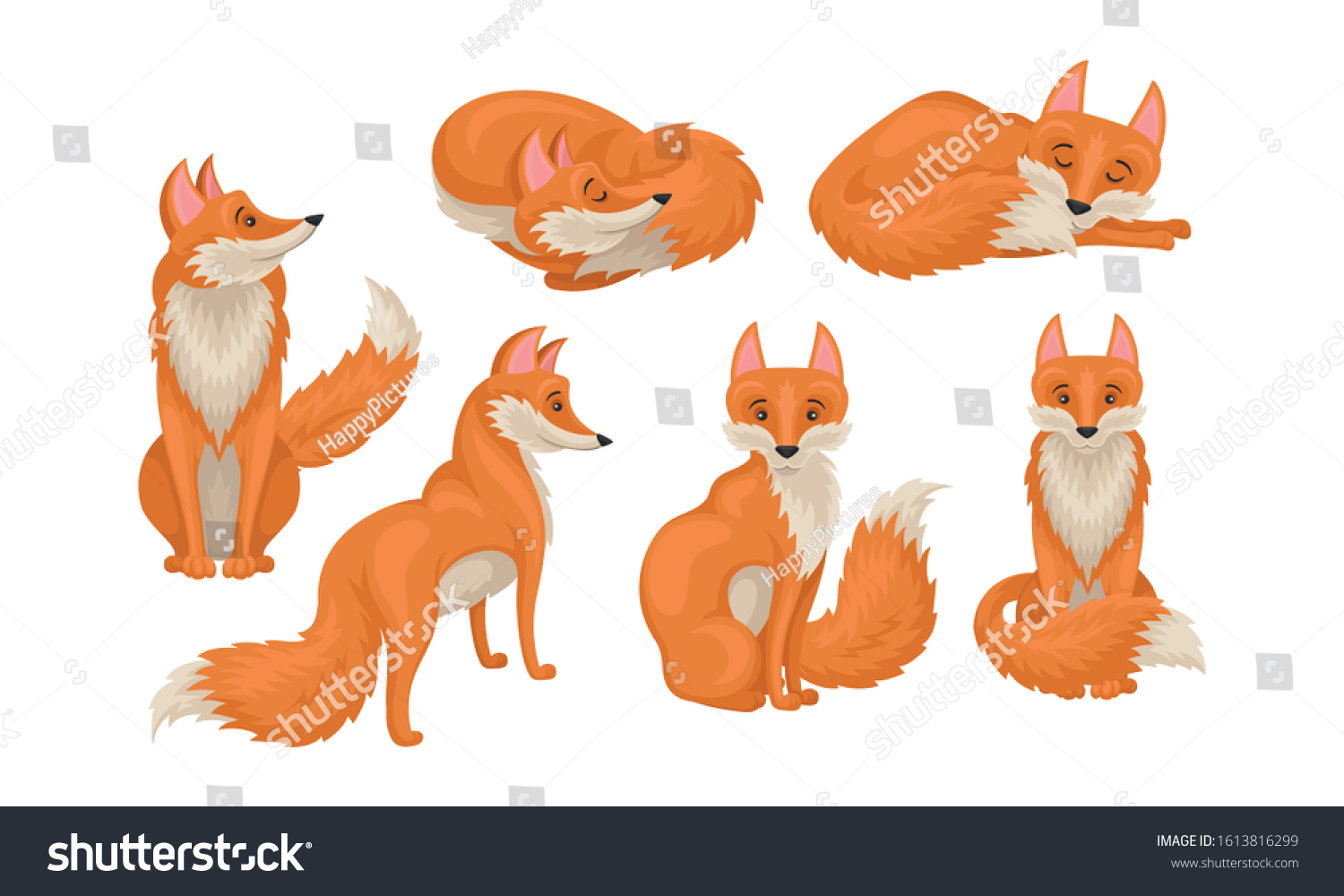 Red Fox Different Poses Vector Illustrations Stock Vector (Royalty Free ...