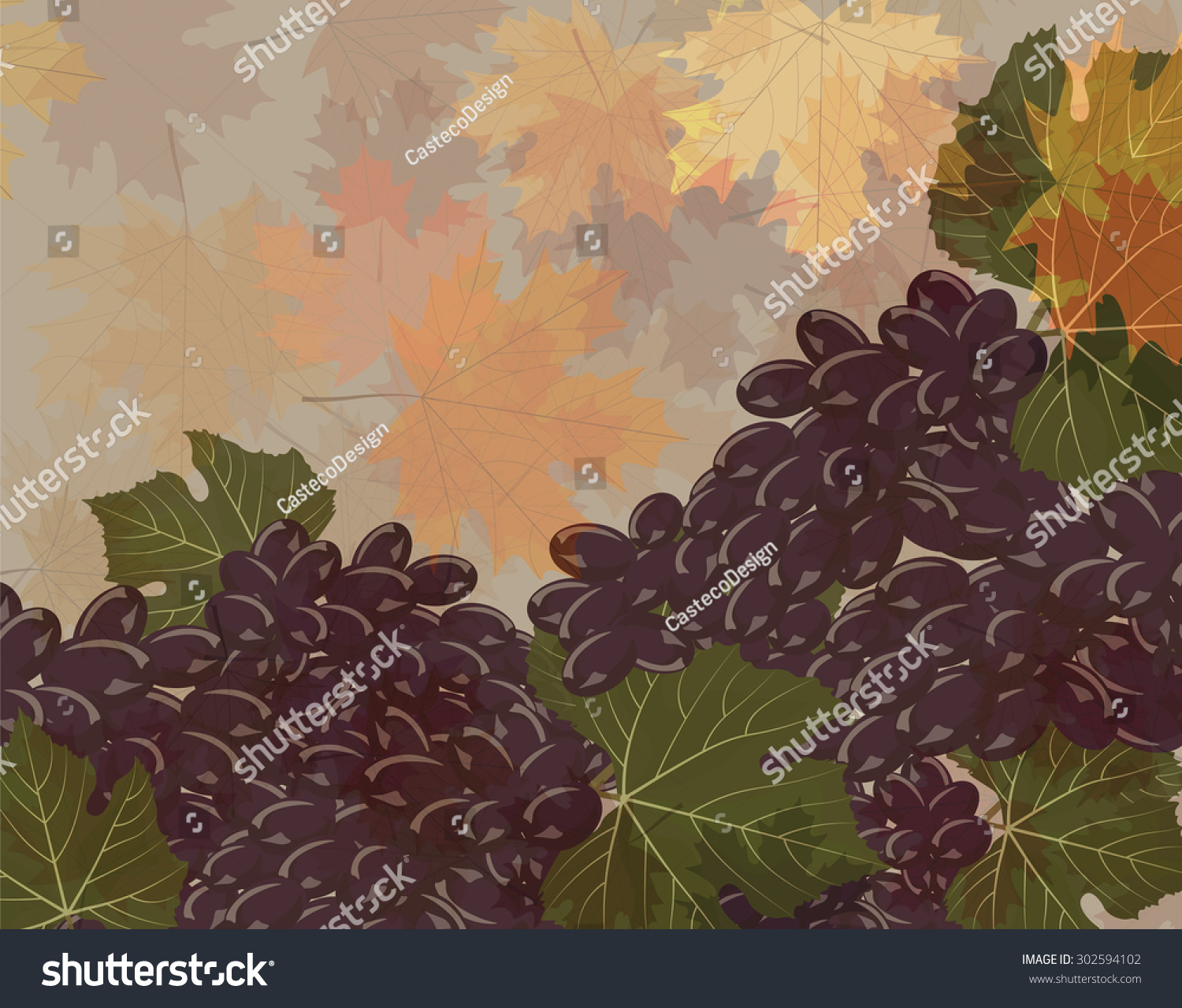Red Grapes Background Leaves Vector Stock Vector (Royalty Free ...