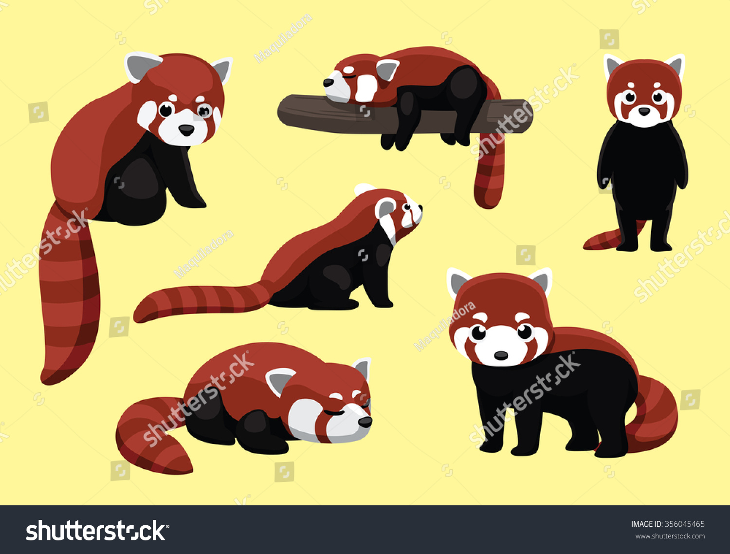 Red Panda Poses Cartoon Vector Illustration Stock Vector (Royalty Free ...