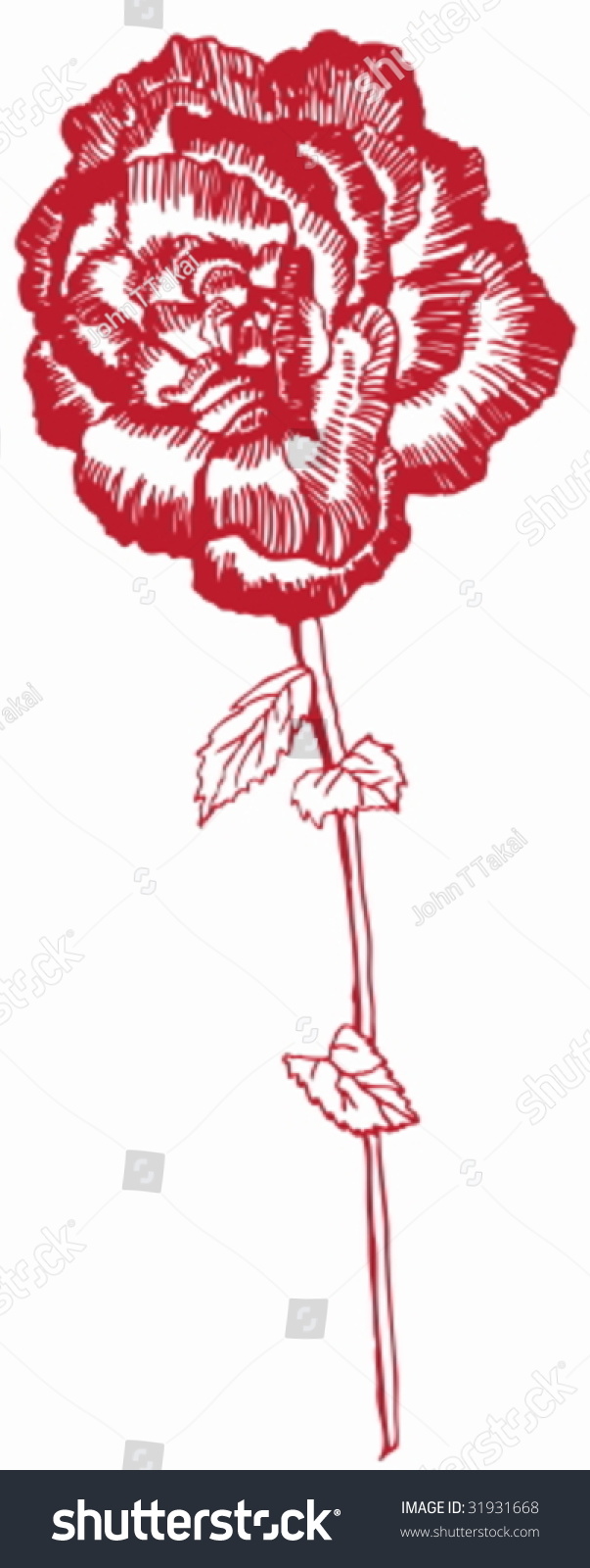 Red Rose Drawing Stock Vector (Royalty Free) 31931668 | Shutterstock
