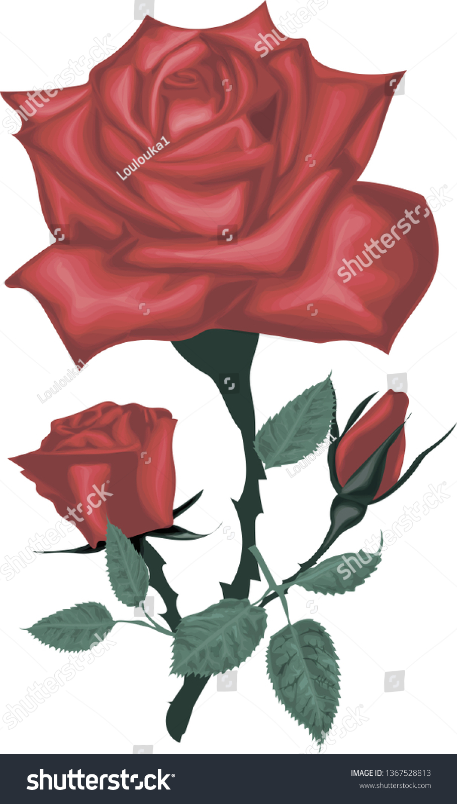 Red Rose On White Background Vector Stock Vector (Royalty Free ...
