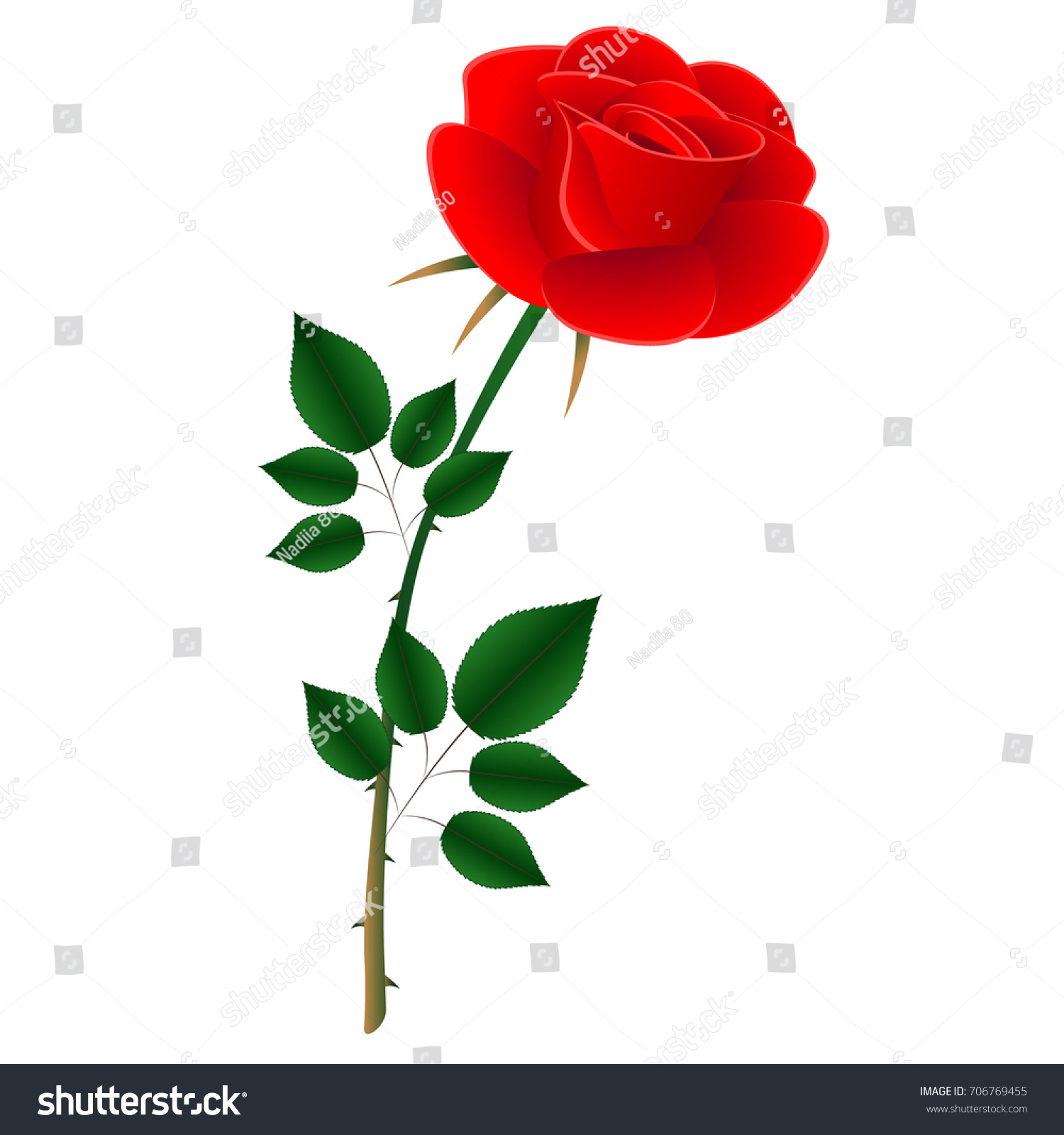 Red Rose On White Background Stock Vector (Royalty Free) 706769455 ...