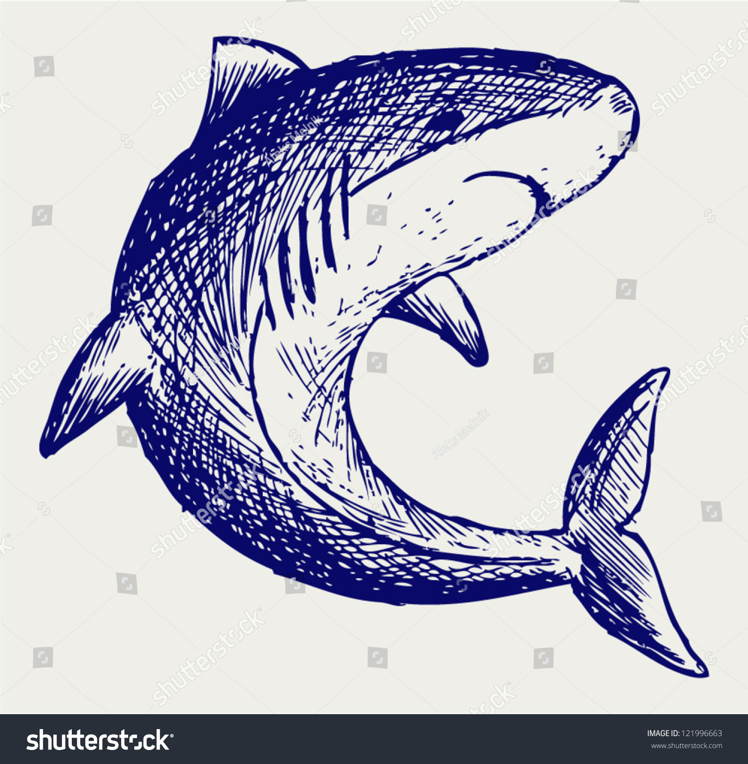 Reef Shark Doodle Style Stock Vector (Royalty Free) 121996663