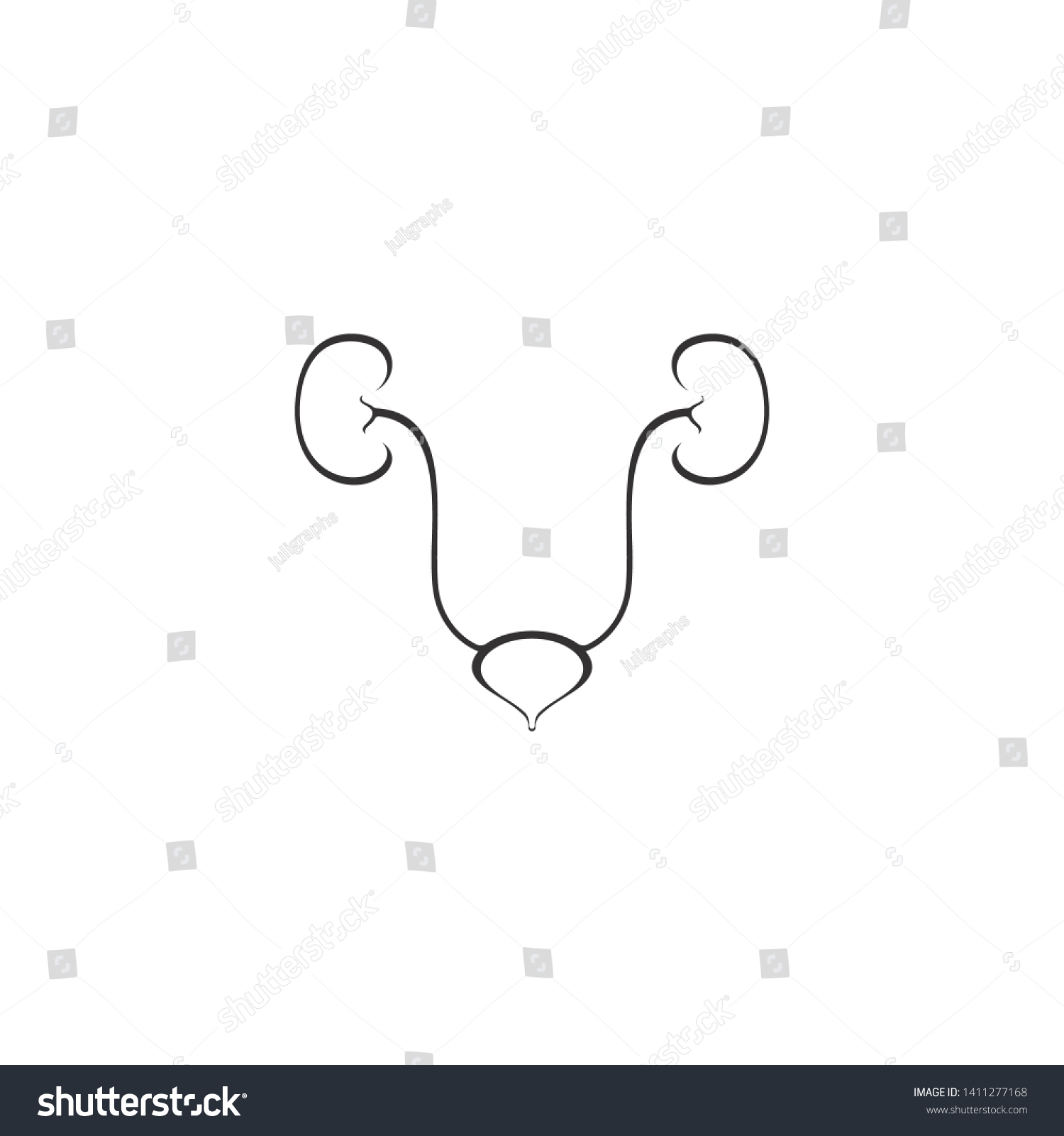 Renal System Vector Icon Illustration Design Stock Vector (Royalty Free ...