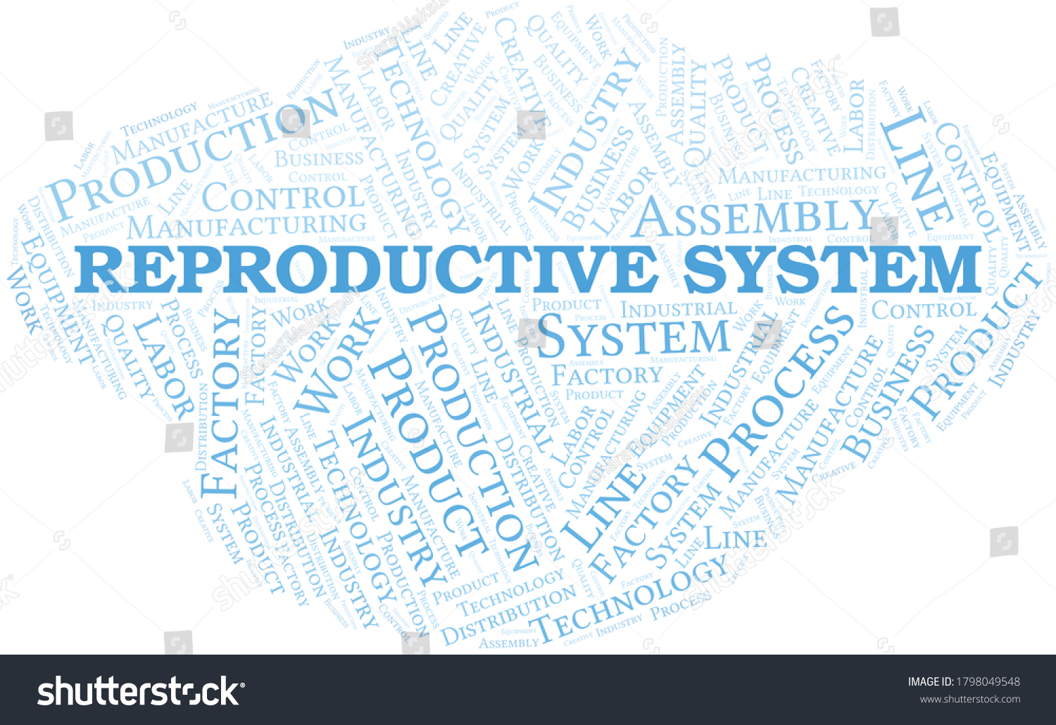 Reproductive System Word Cloud Create Text Stock Vector (Royalty Free ...