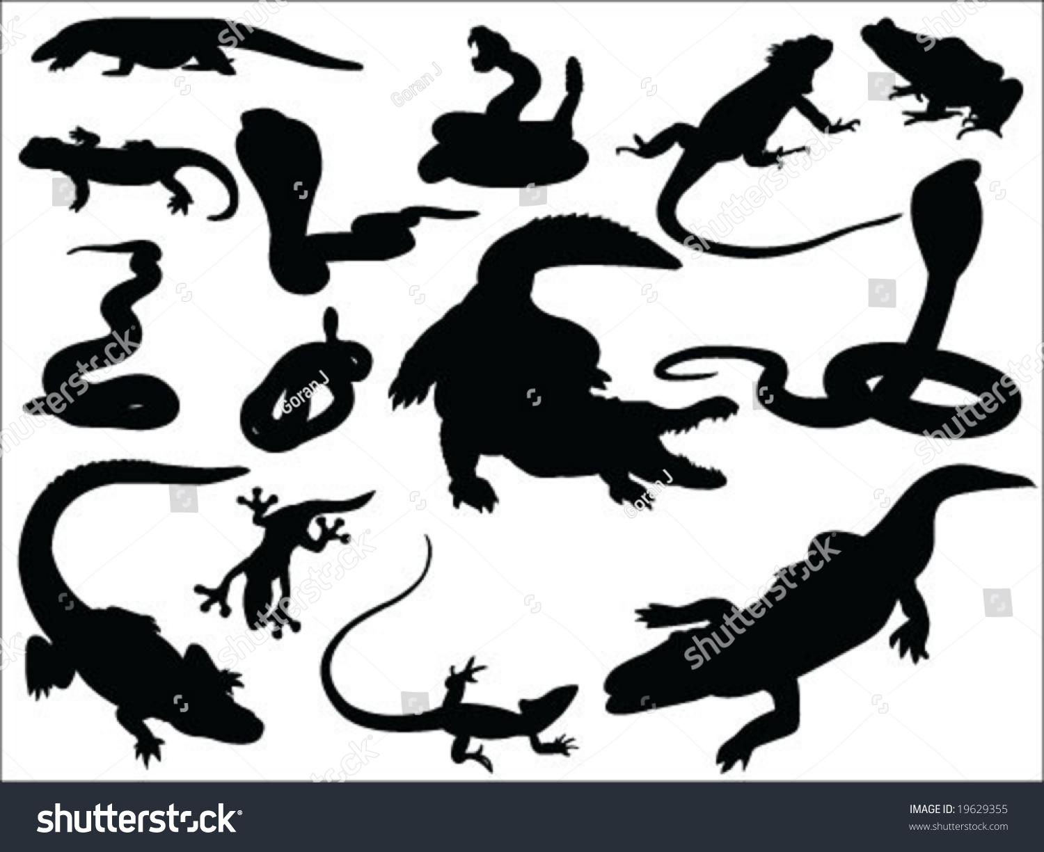 Reptile Vector Collection Stock Vector 19629355 - Shutterstock