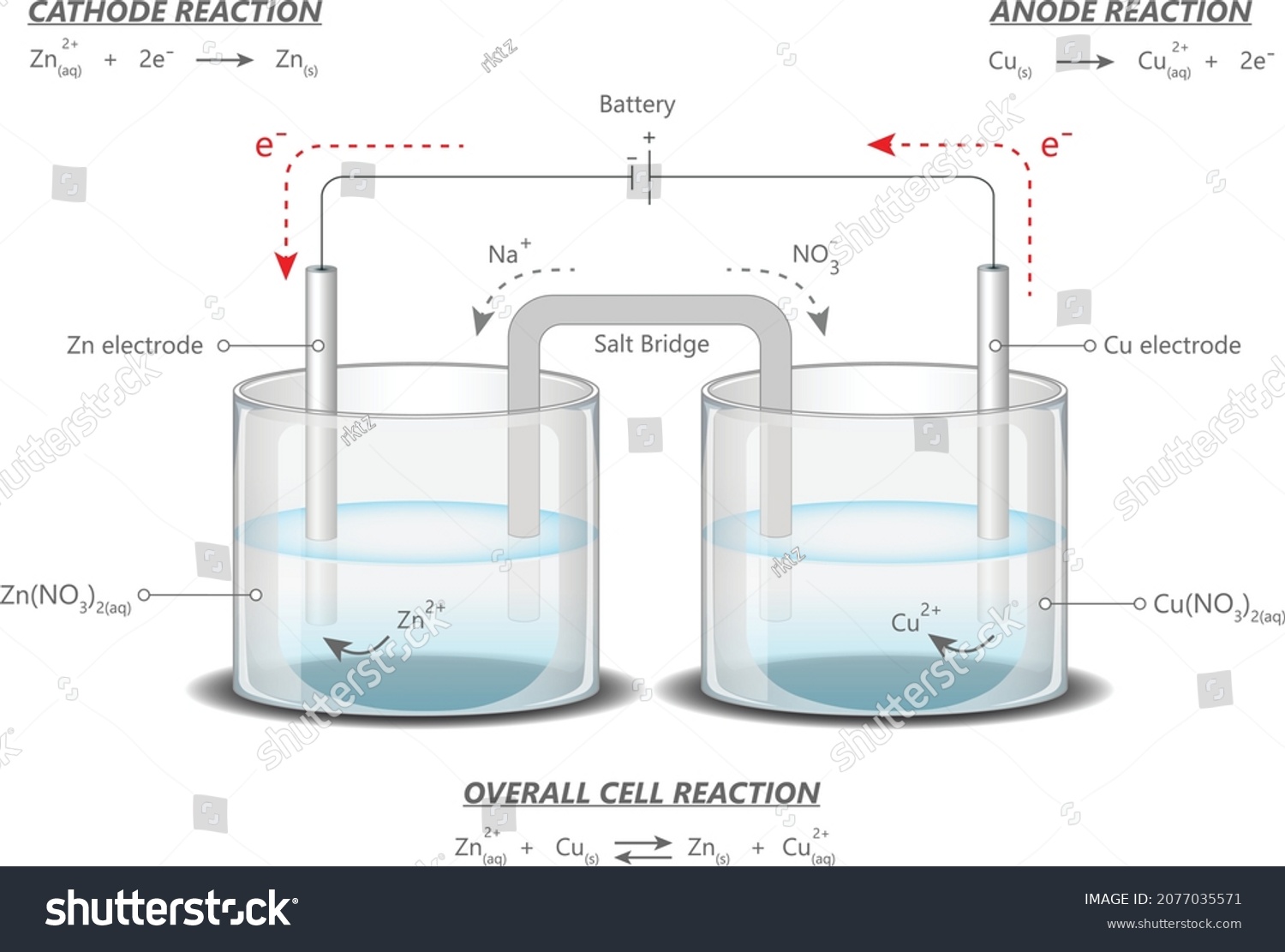 Reverse Cell Reaction Galvanic Cell Stock Vector (Royalty Free ...