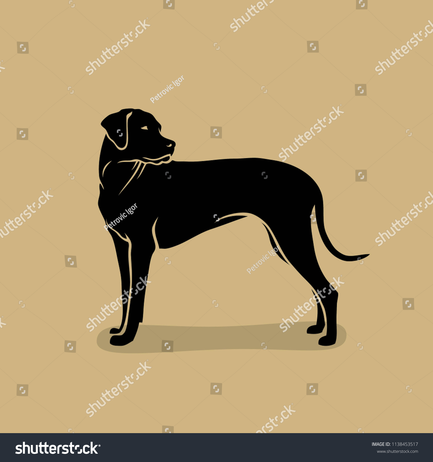 41 Rhodesian ridgeback ridge Stock Illustrations, Images & Vectors ...