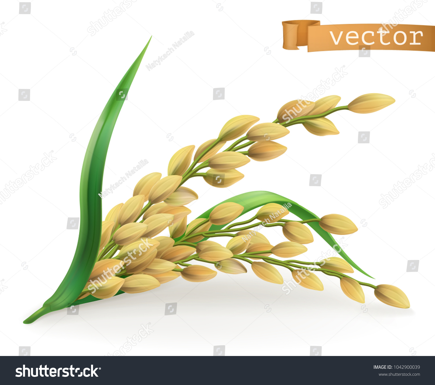 768 Thai jasmine rice Stock Vectors, Images & Vector Art | Shutterstock