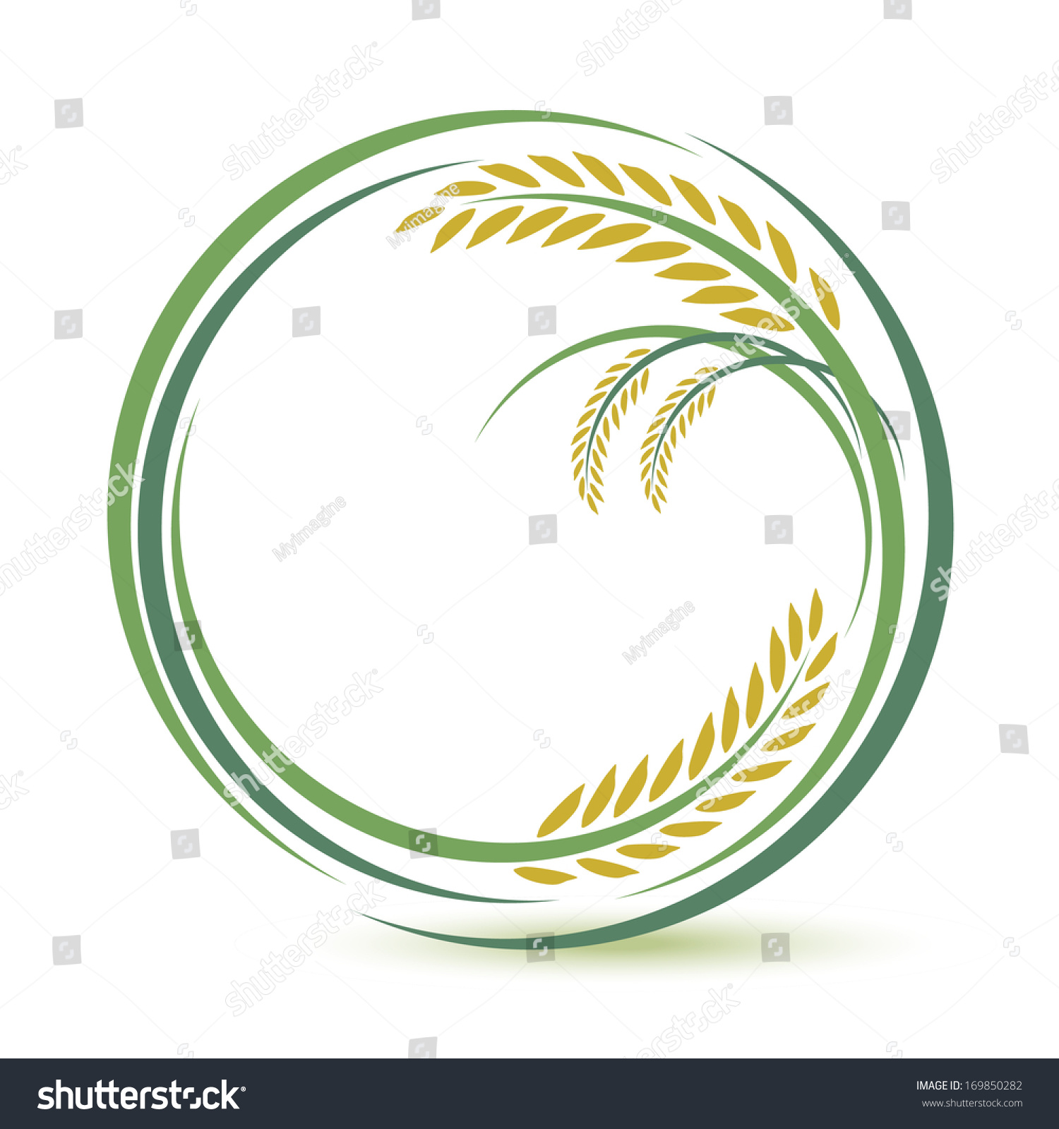 Rice Design On White Background Stock Vector (Royalty Free) 169850282