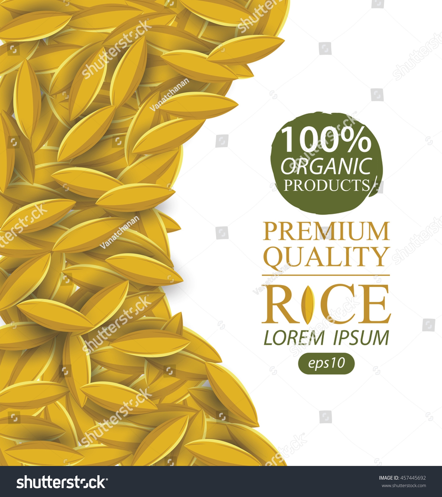 Rice Grains Vector Illustration Stock Vector (Royalty Free) 457445692
