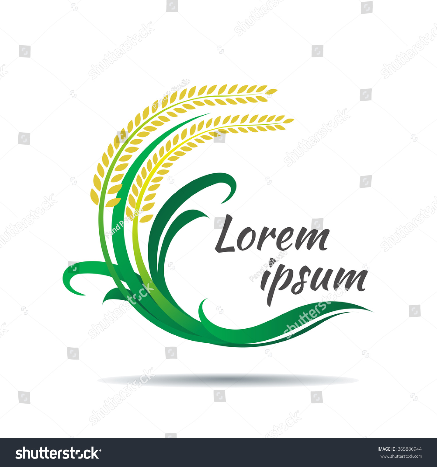 Rice Logo Vector Illustration Stock Vector 365886944 - Shutterstock