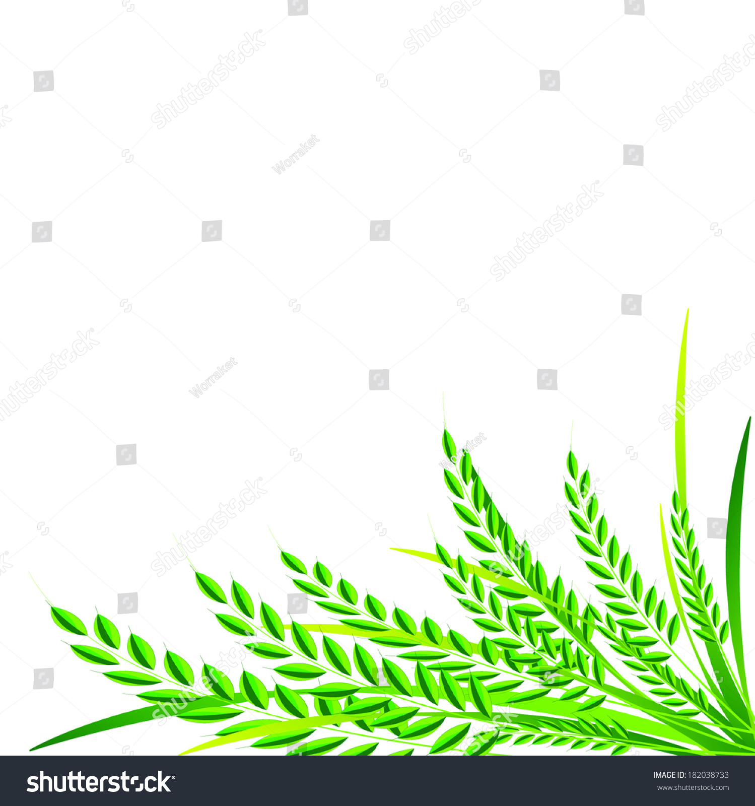 Rice On White Background Stock Vector (Royalty Free) 182038733 ...