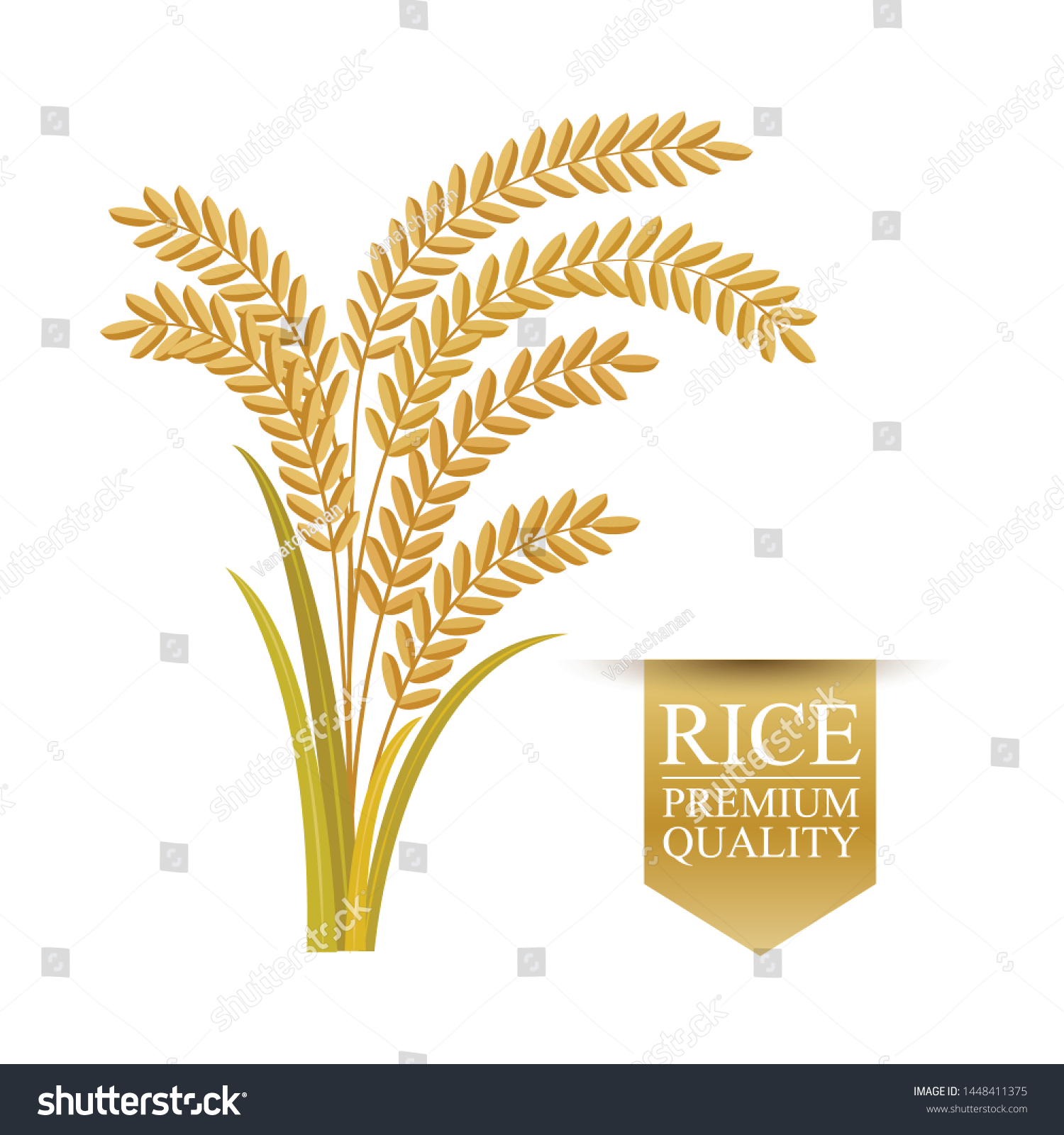 Rice On White Background Vector Illustration Stock Vector (Royalty Free ...