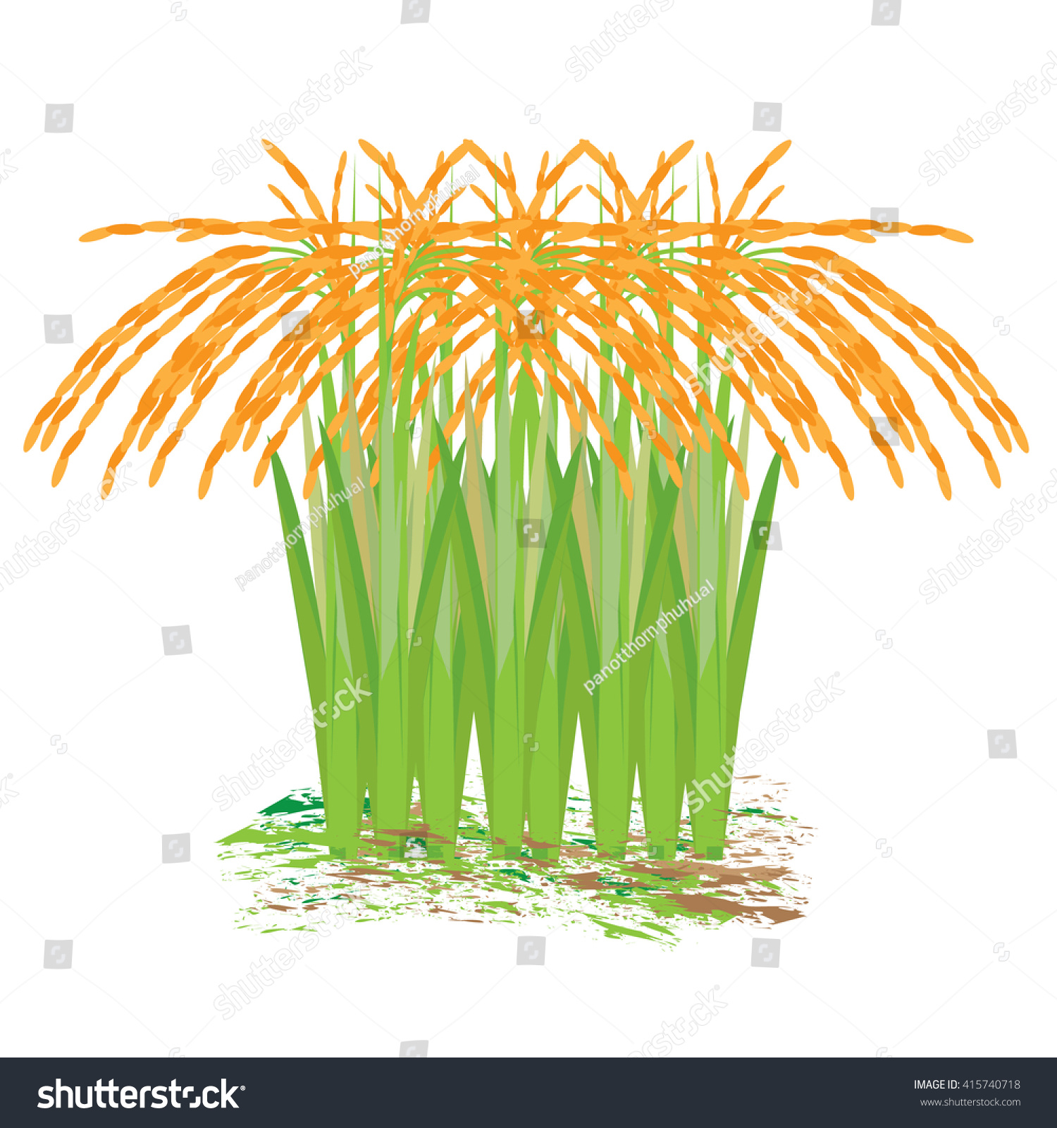 Rice Plant Vector Design Stock Vector (Royalty Free) 415740718 ...