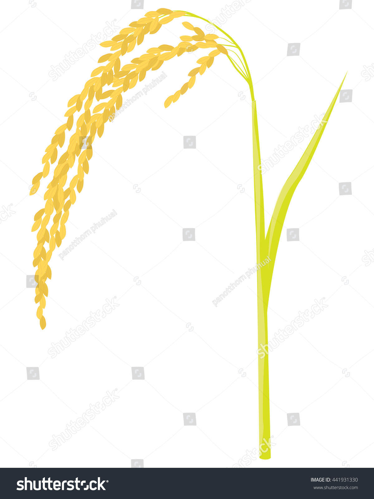 Rice Plant Vector Design Stock Vector (Royalty Free) 441931330 ...
