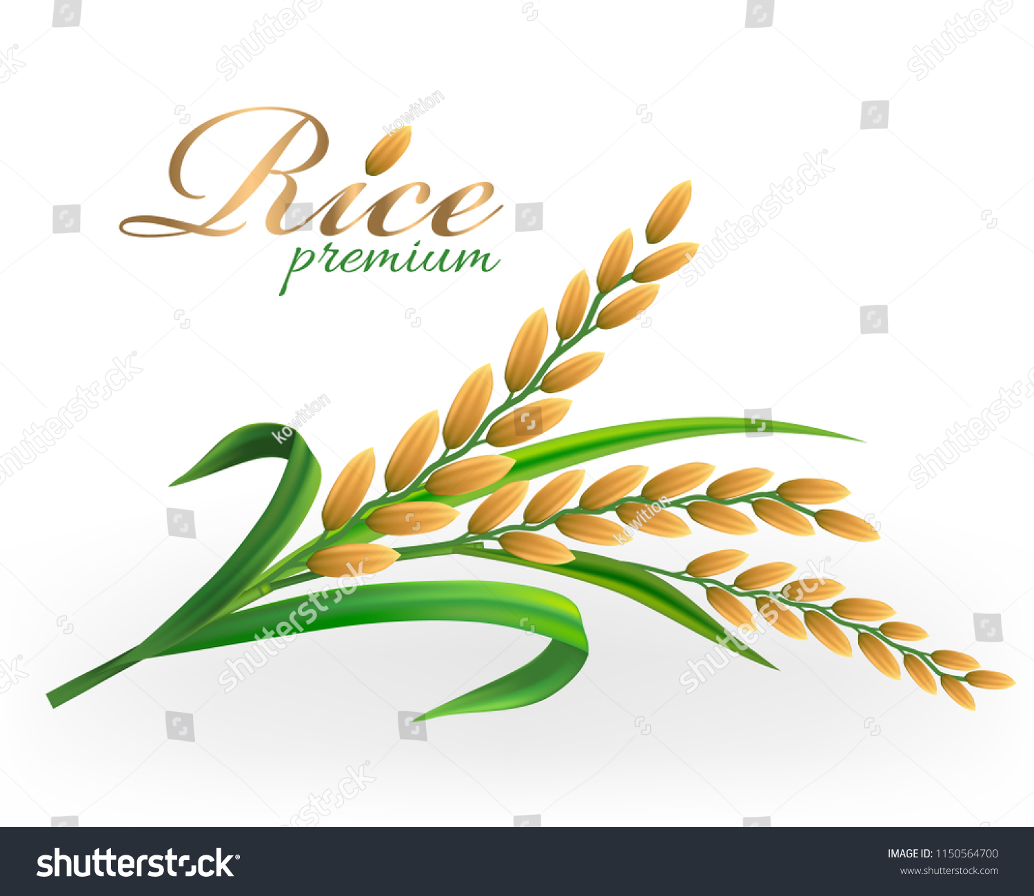 Rice Realistic Vector Illustration Stock Vector (Royalty Free) 1150564700